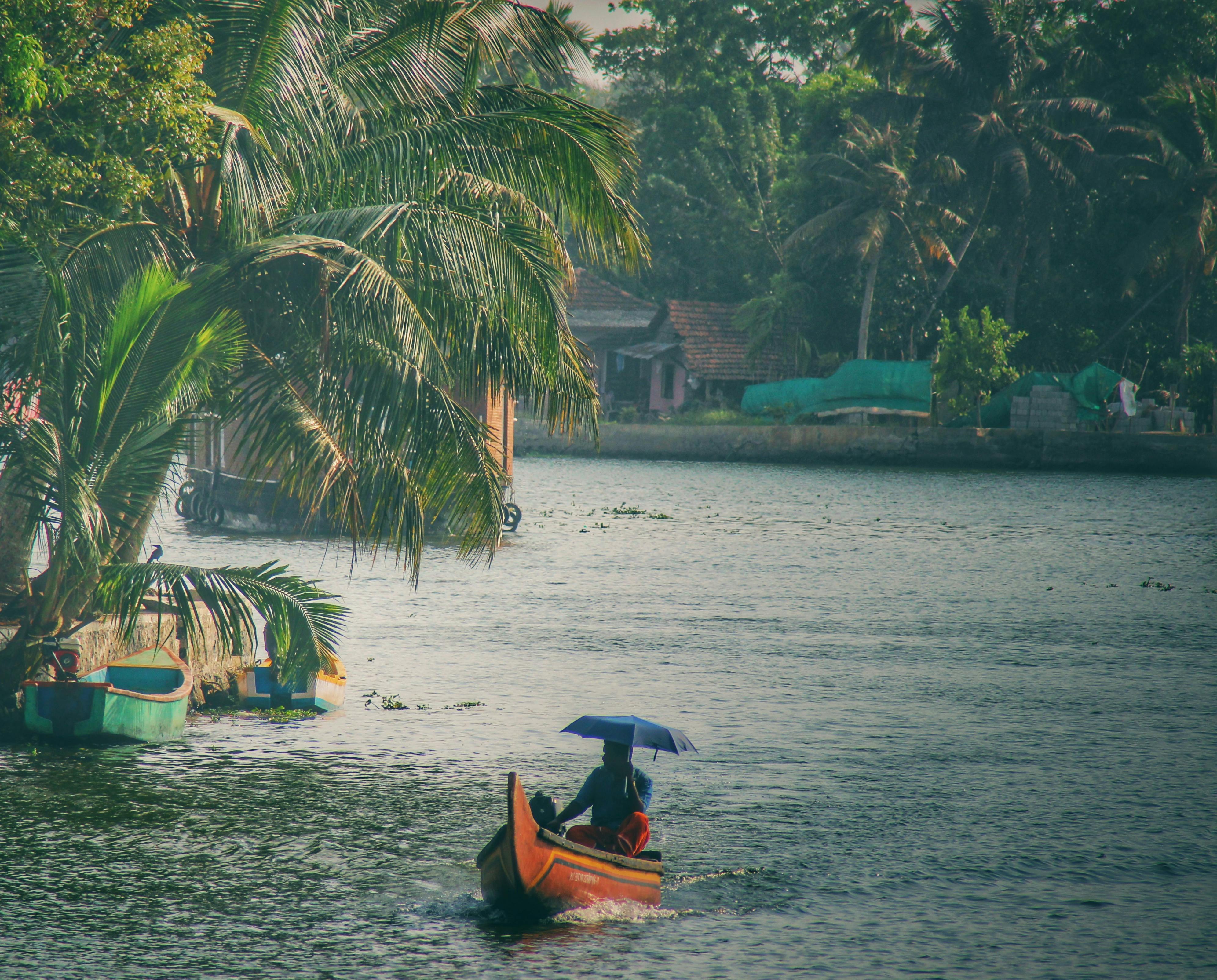 Photo Of People Catching Fishes · Free Stock Photo