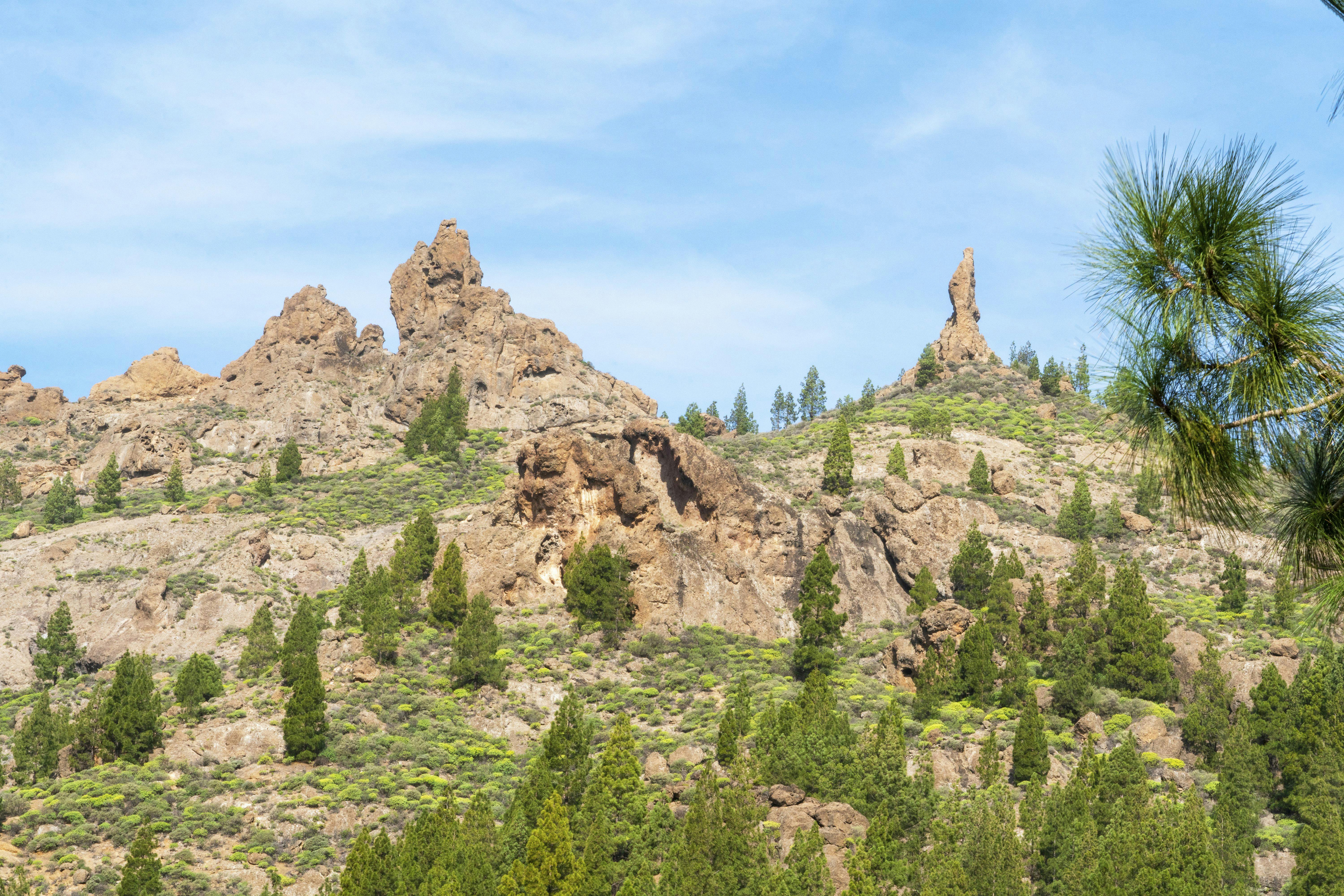 Green Trees and Rock Formations on a Mountain · Free Stock Photo
