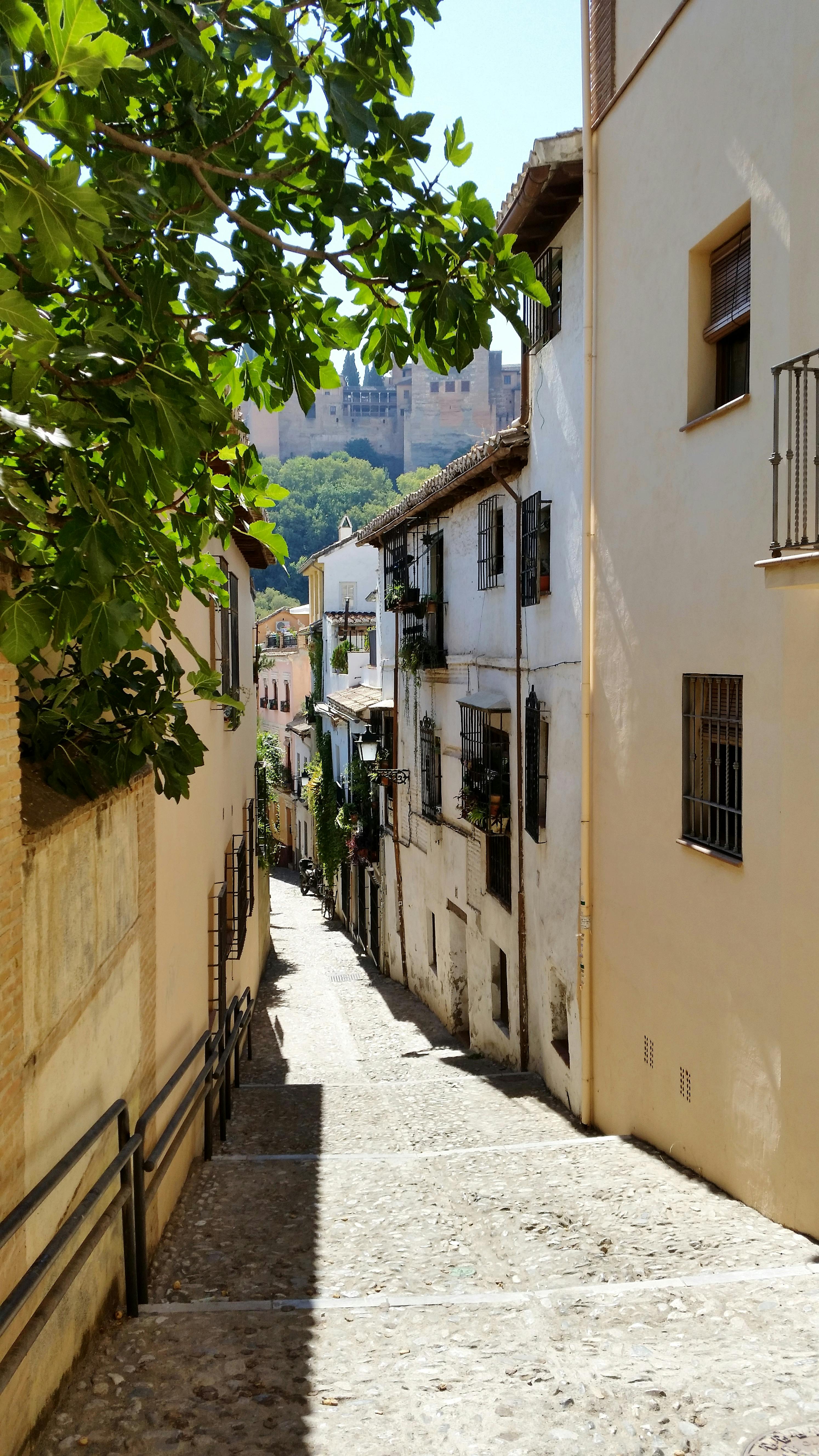 Máté Horváth - Photography