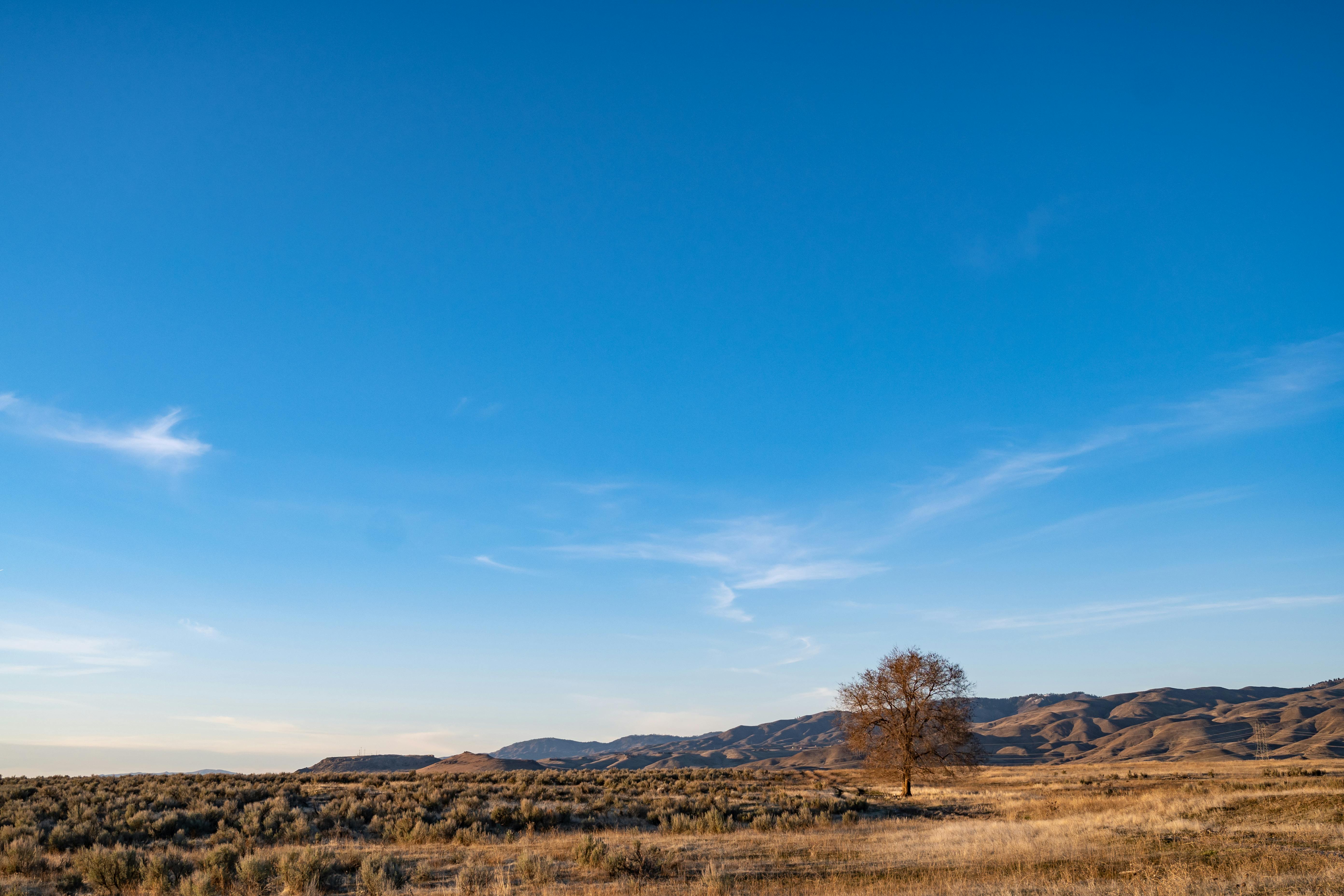 Gray Grass Field Leading to Mountains Under Gray Heavy Clouds · Free ...