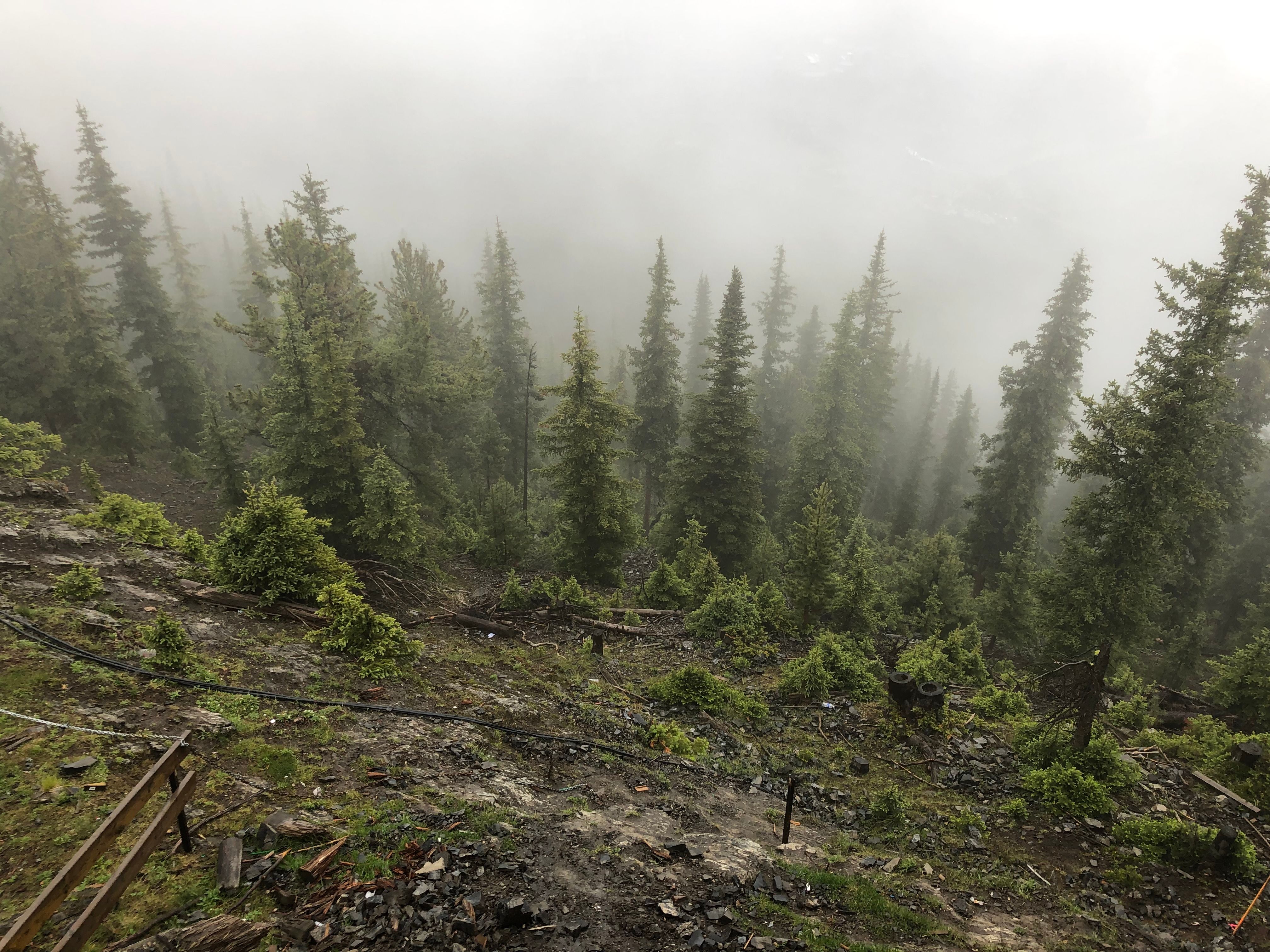 Canada 10 Photos & Videos Collected by Steve Tingley