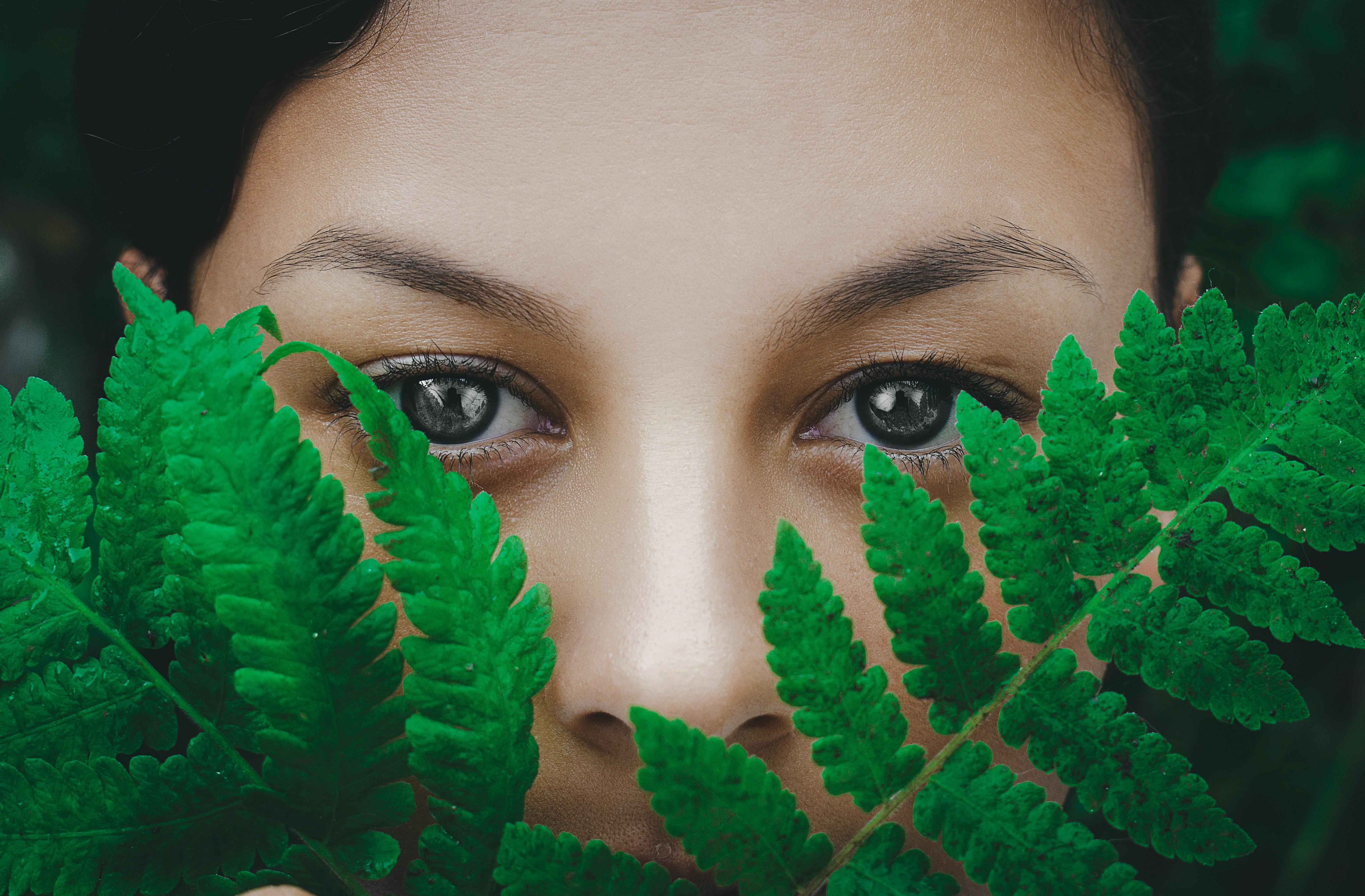 Woman Behind a Plant · Free Stock Photo