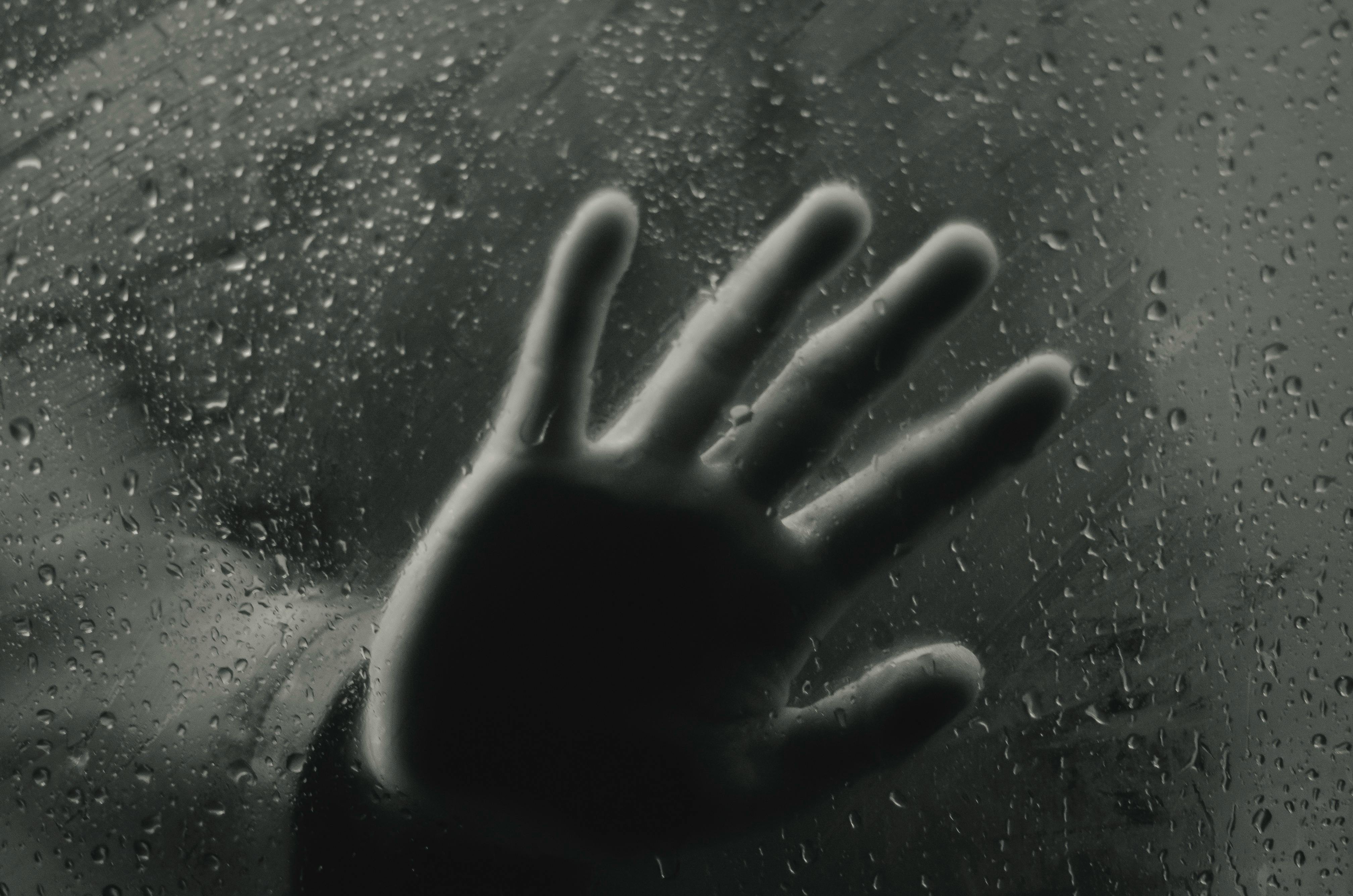 Stop Drop Roll Photos, Download The BEST Free Stop Drop Roll Stock ...