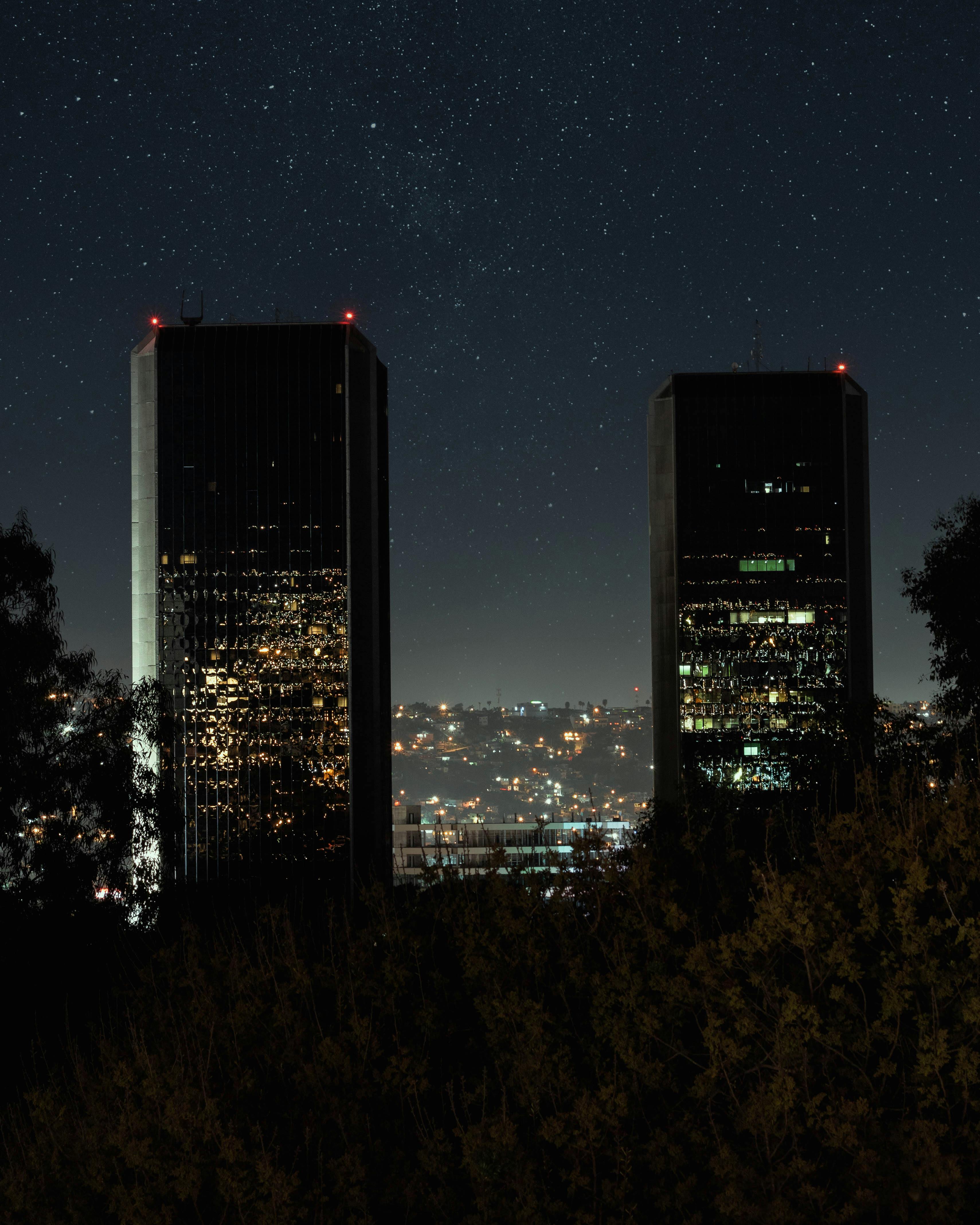 Trees near buildings located on city street at night · Free Stock Photo