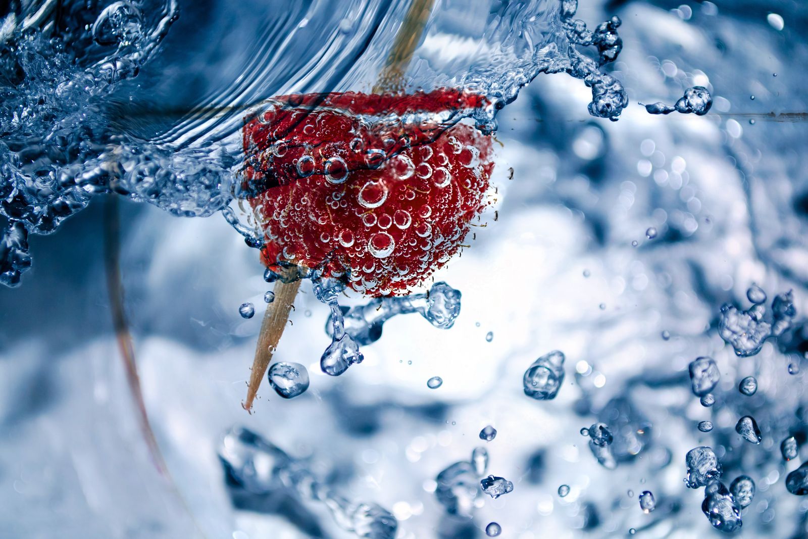 Water Bubbles Photos, Download The BEST Free Water Bubbles Stock Photos ...