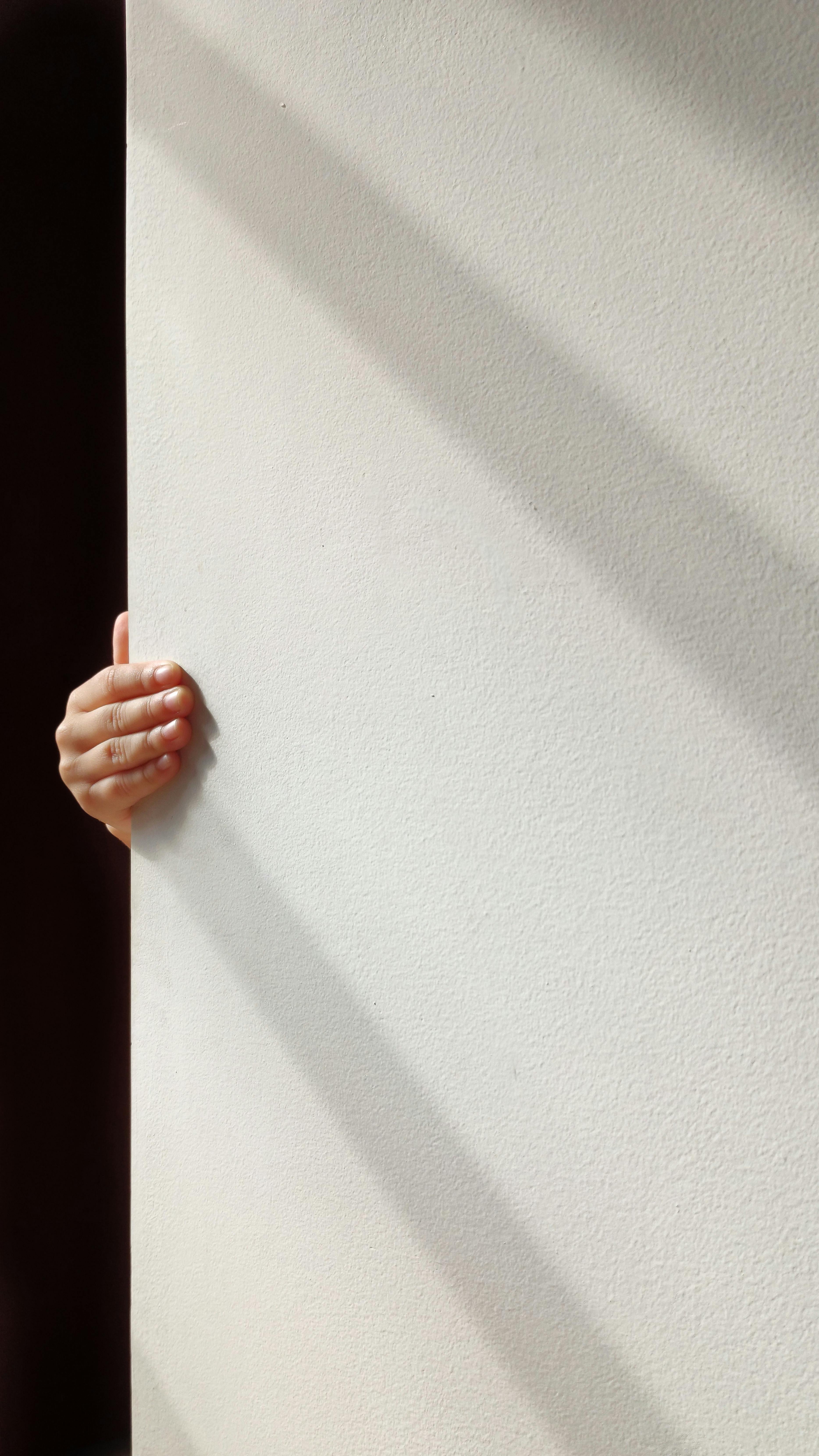 Person Holding White Wall · Free Stock Photo