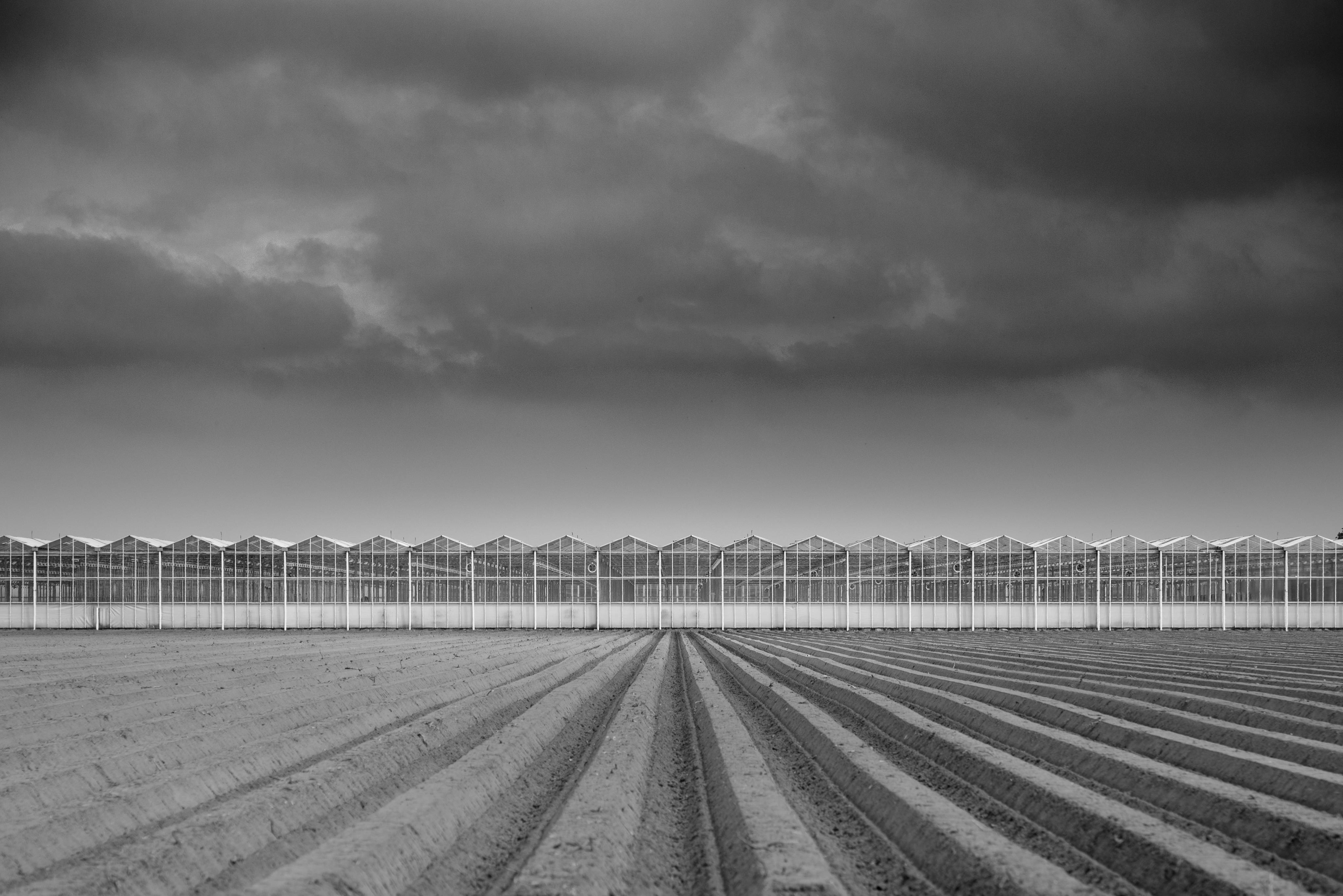Grayscale Photograph of Farm · Free Stock Photo