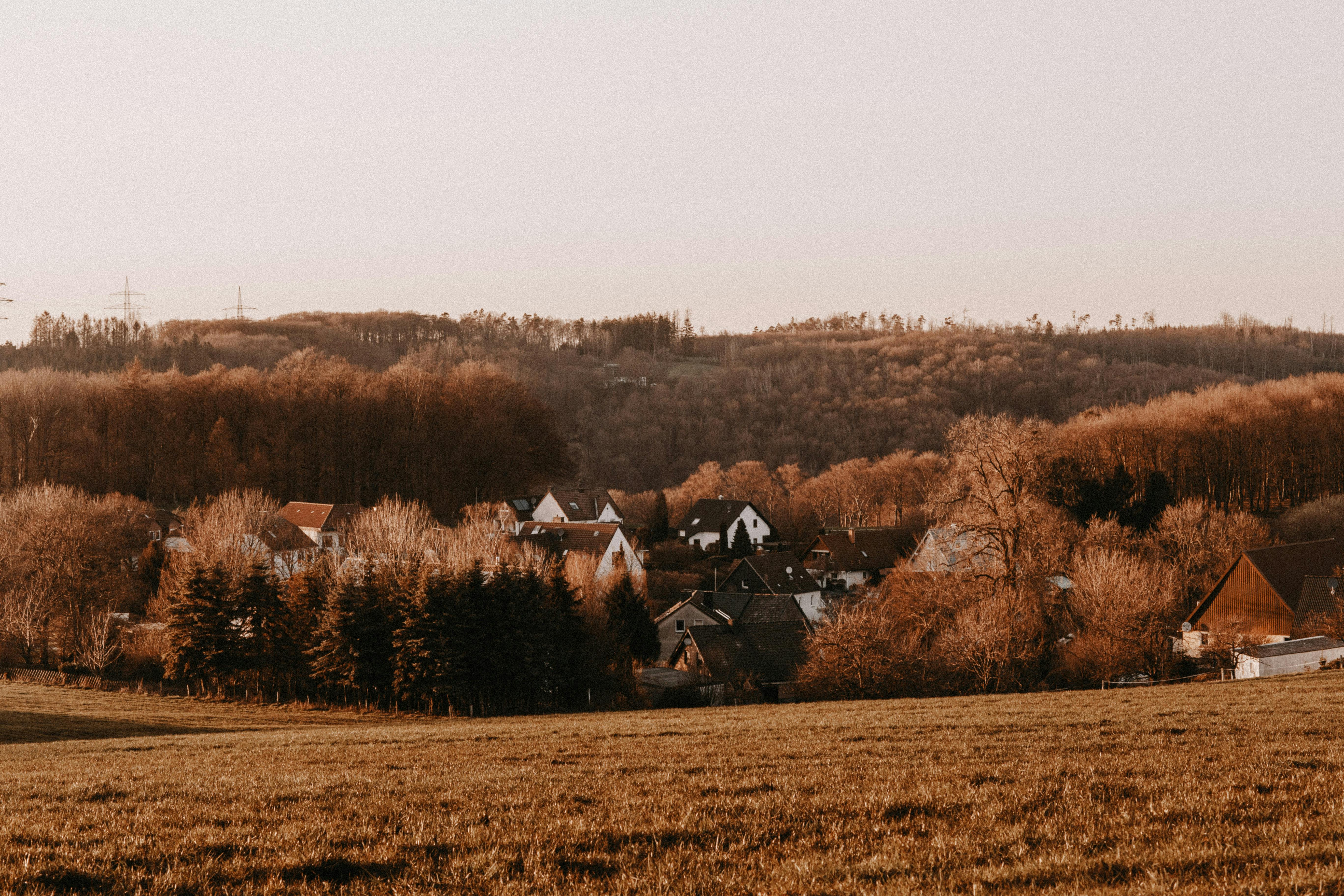 Field Surround With Orange Leaf Trees · Free Stock Photo