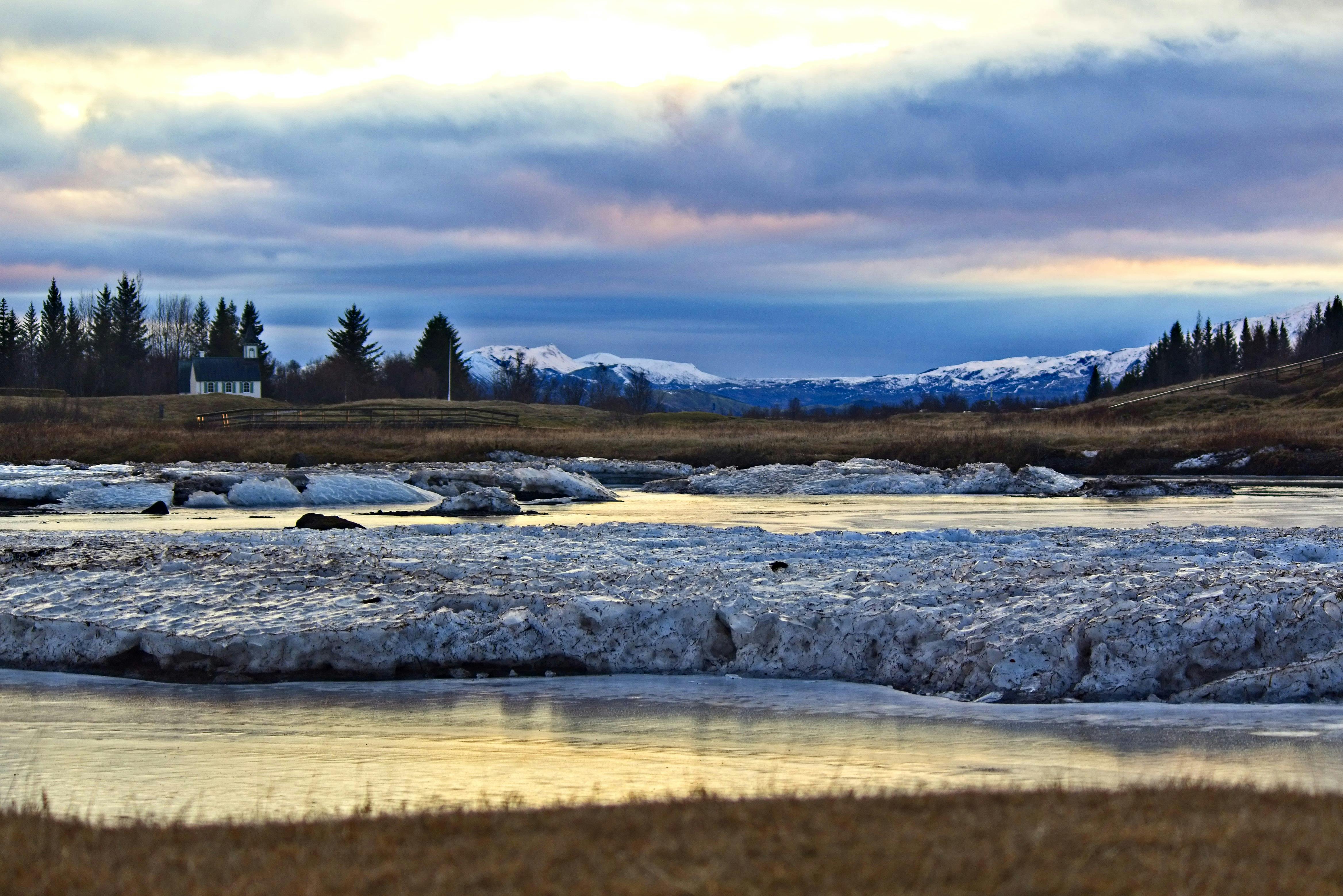 Snow Covered Field · Free Stock Photo