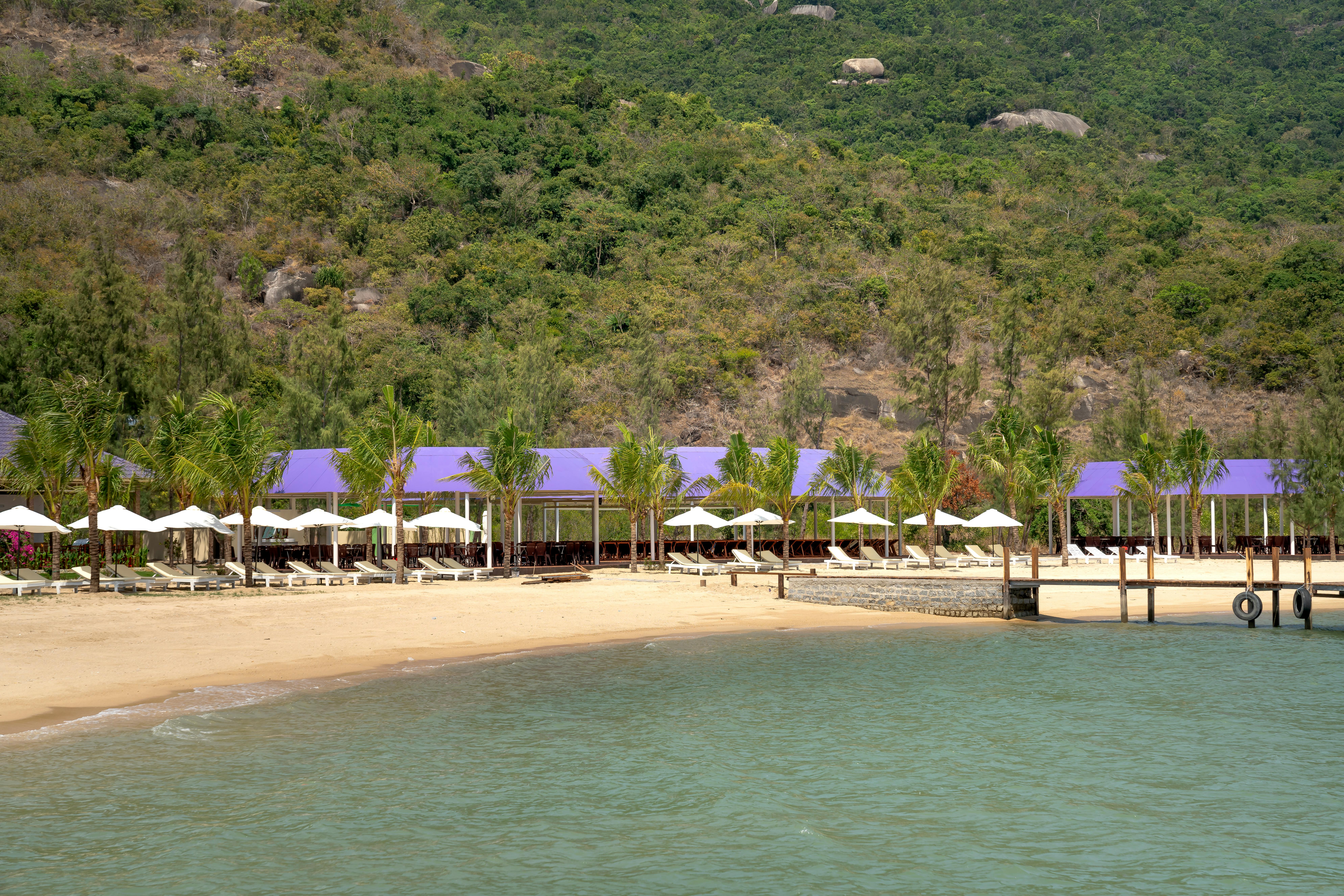 Mountain forest and sandy beach of sea · Free Stock Photo