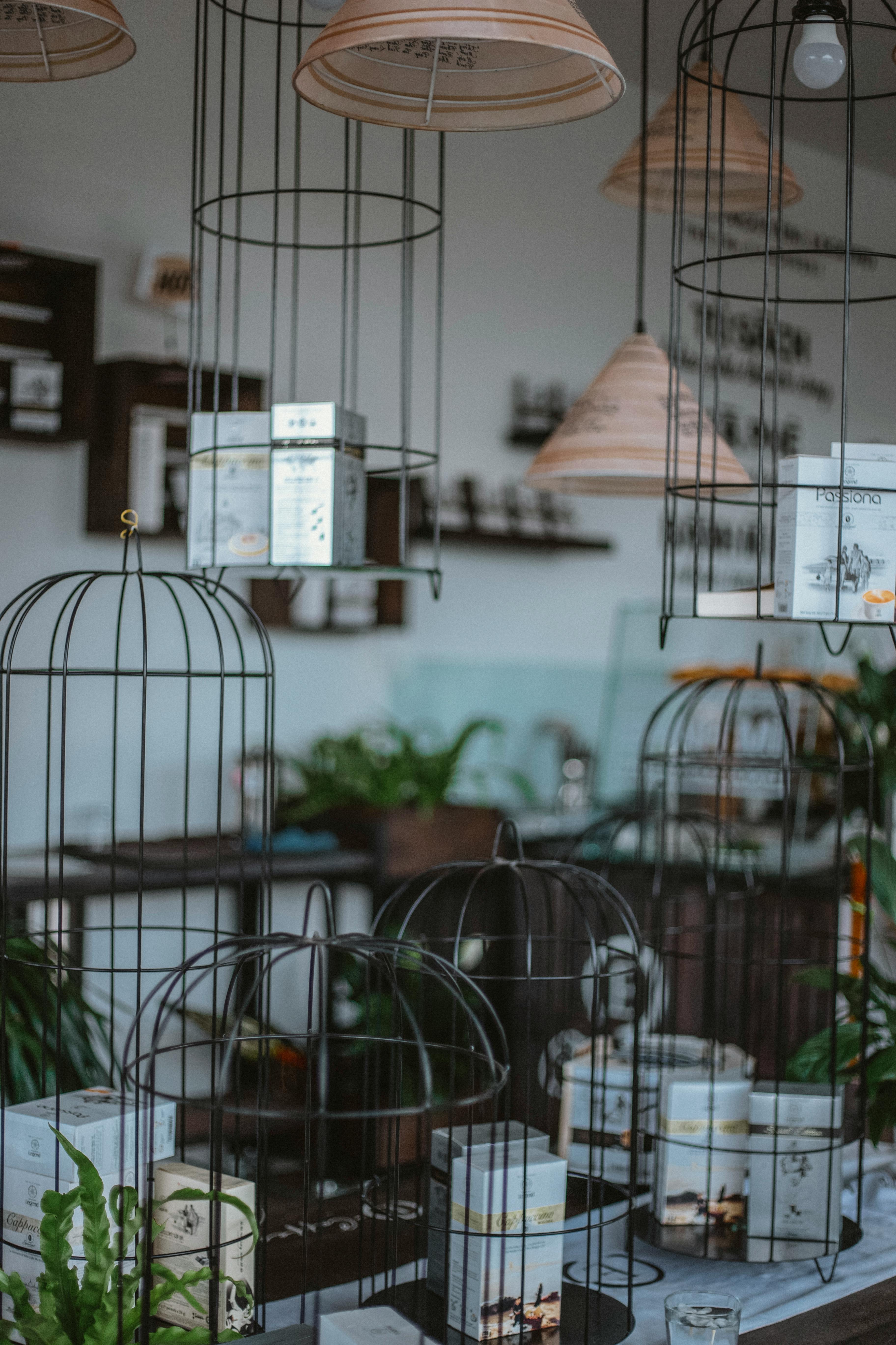 Still Life with Small Boxes Displayed in Bird Cages · Free Stock Photo