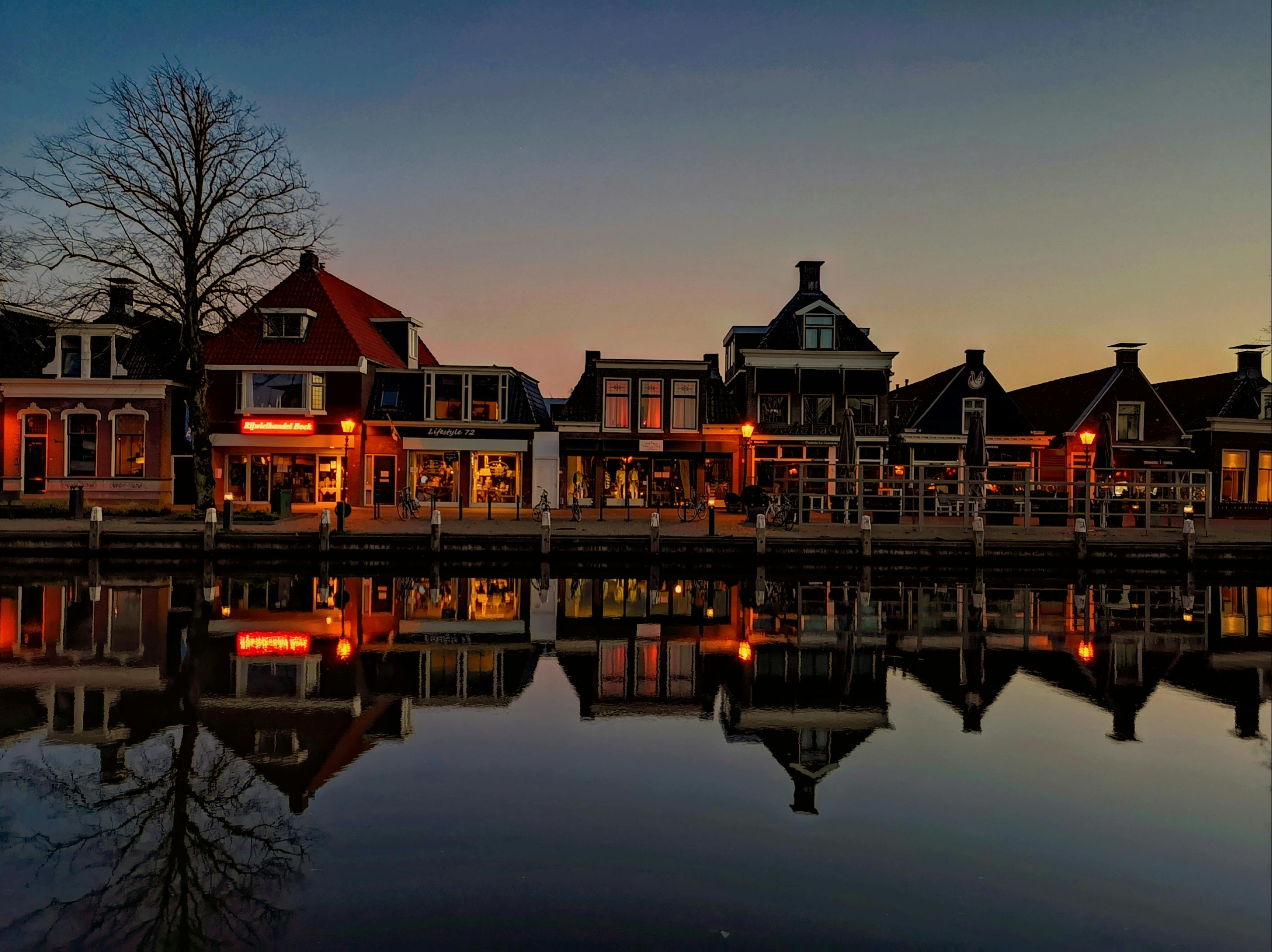 Old houses and lonely tree on lake shore during sundown · Free Stock Photo