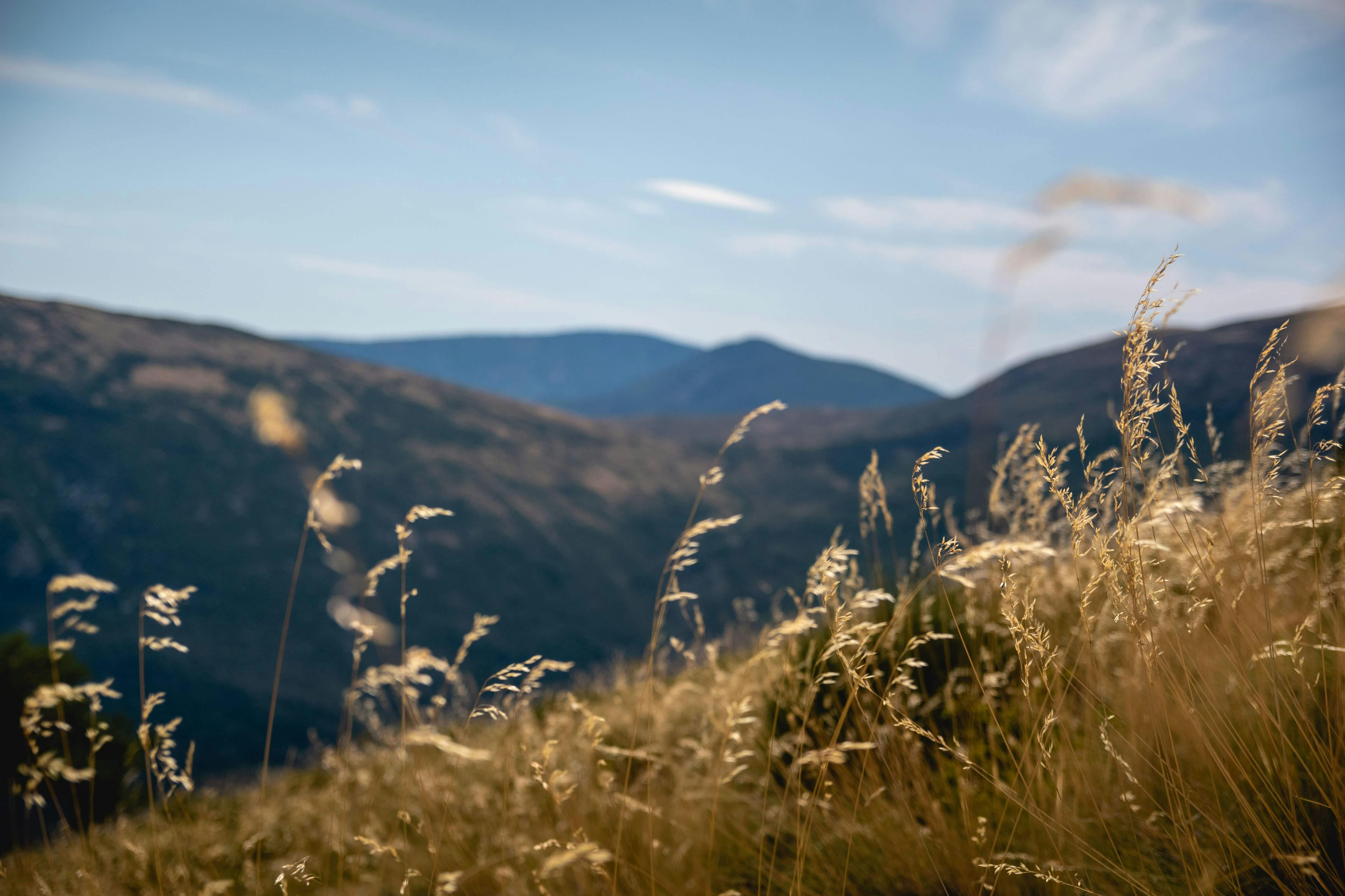 Verdon 2019 25 Photos & Videos Collected by Olivier Darny