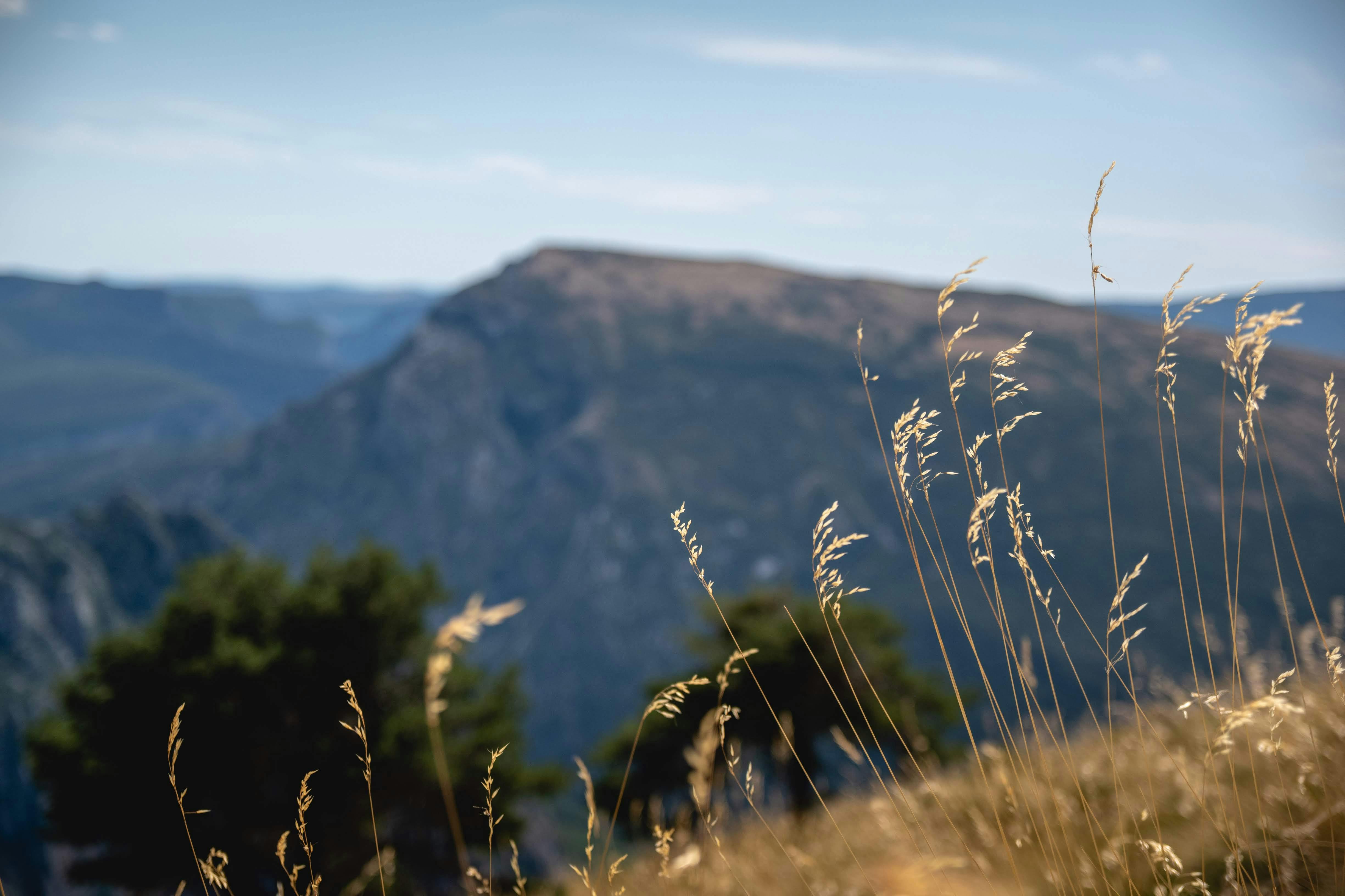 Verdon 2019 25 Photos & Videos Collected by Olivier Darny