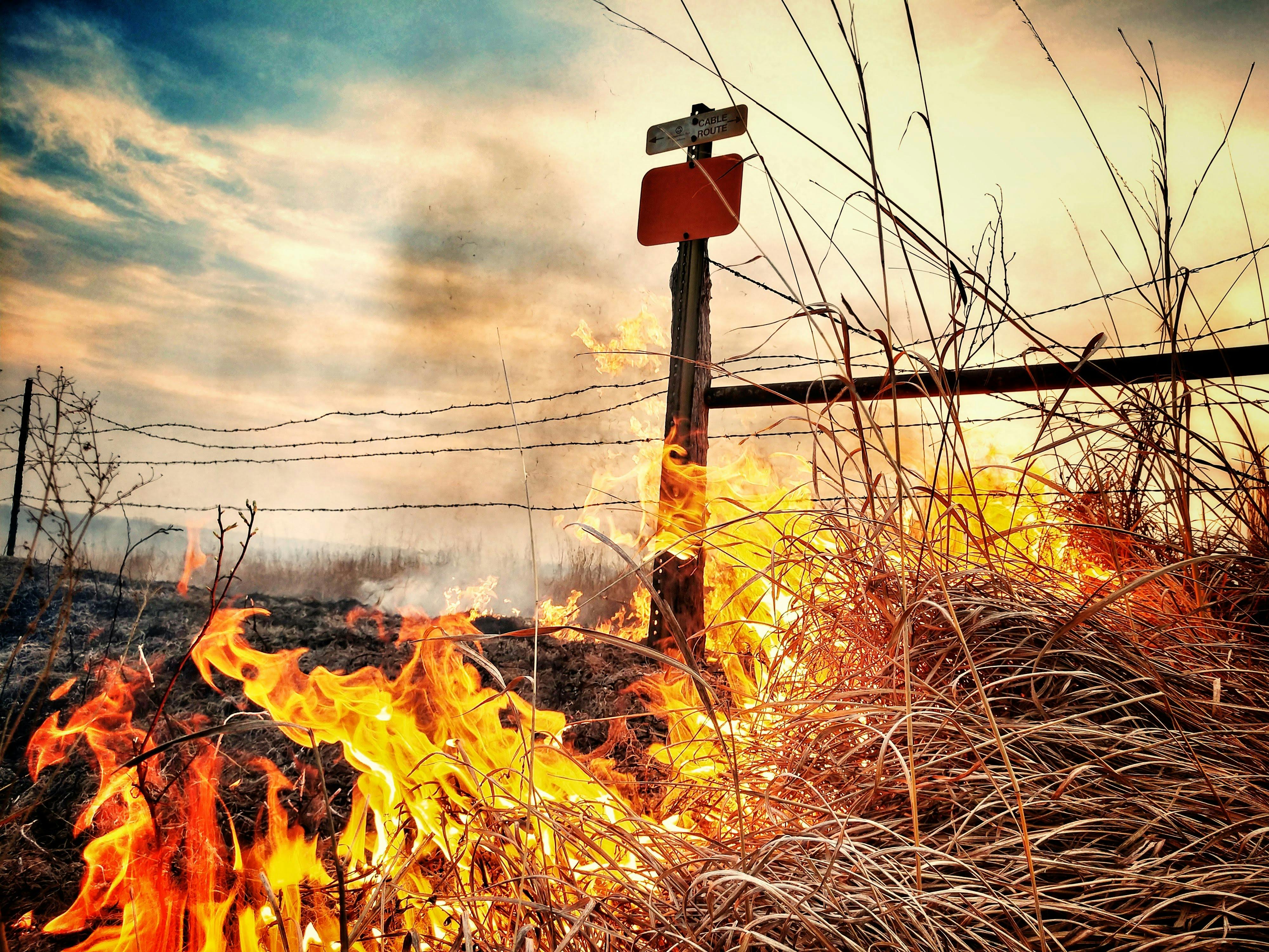 Burning Brown Grass Beside the Fence · Free Stock Photo