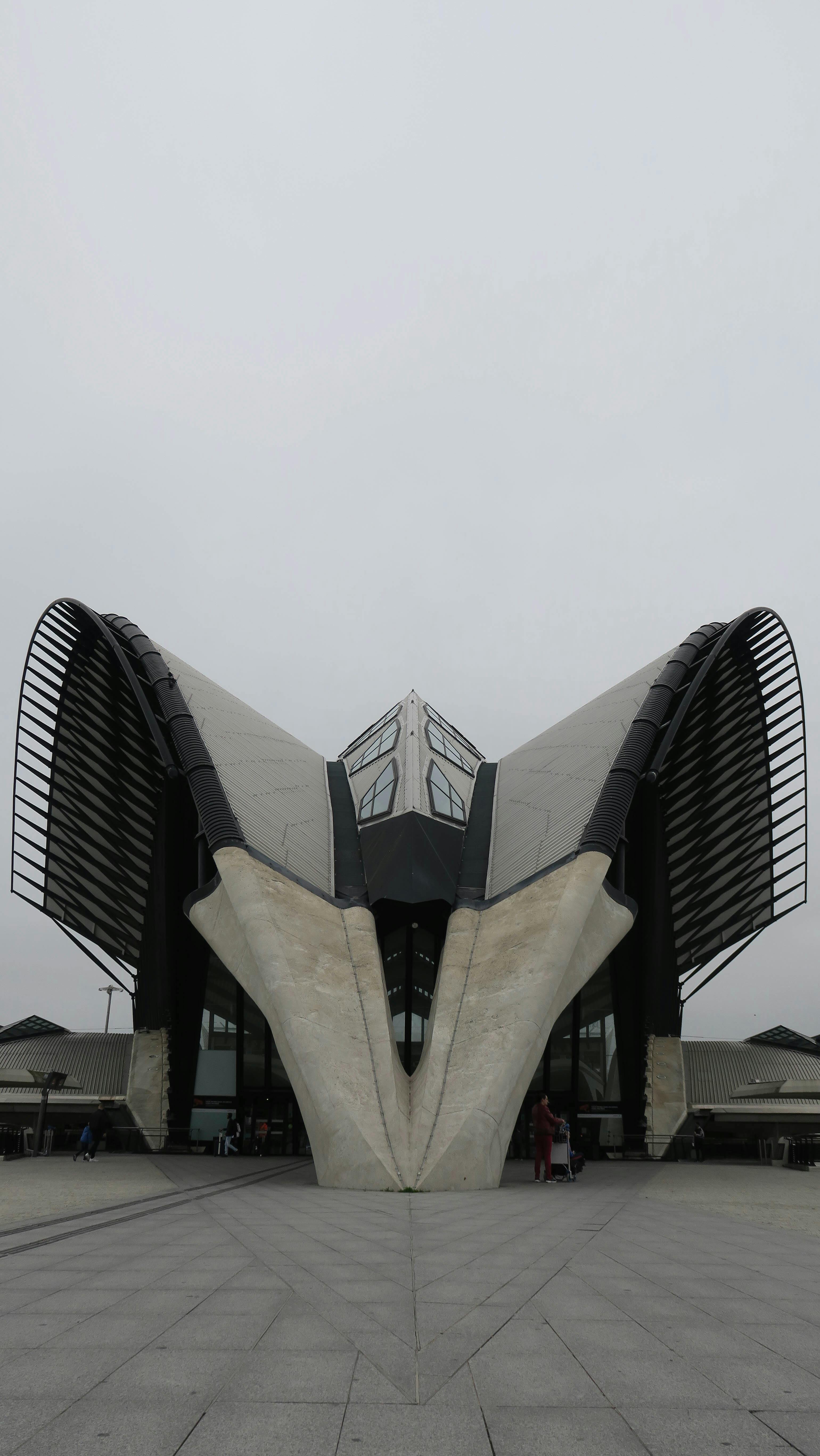 Avion Photos, Download The BEST Free Avion Stock Photos & HD Images