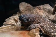 More 200 On a large scale Synonyms. Similar words for On a large scale.