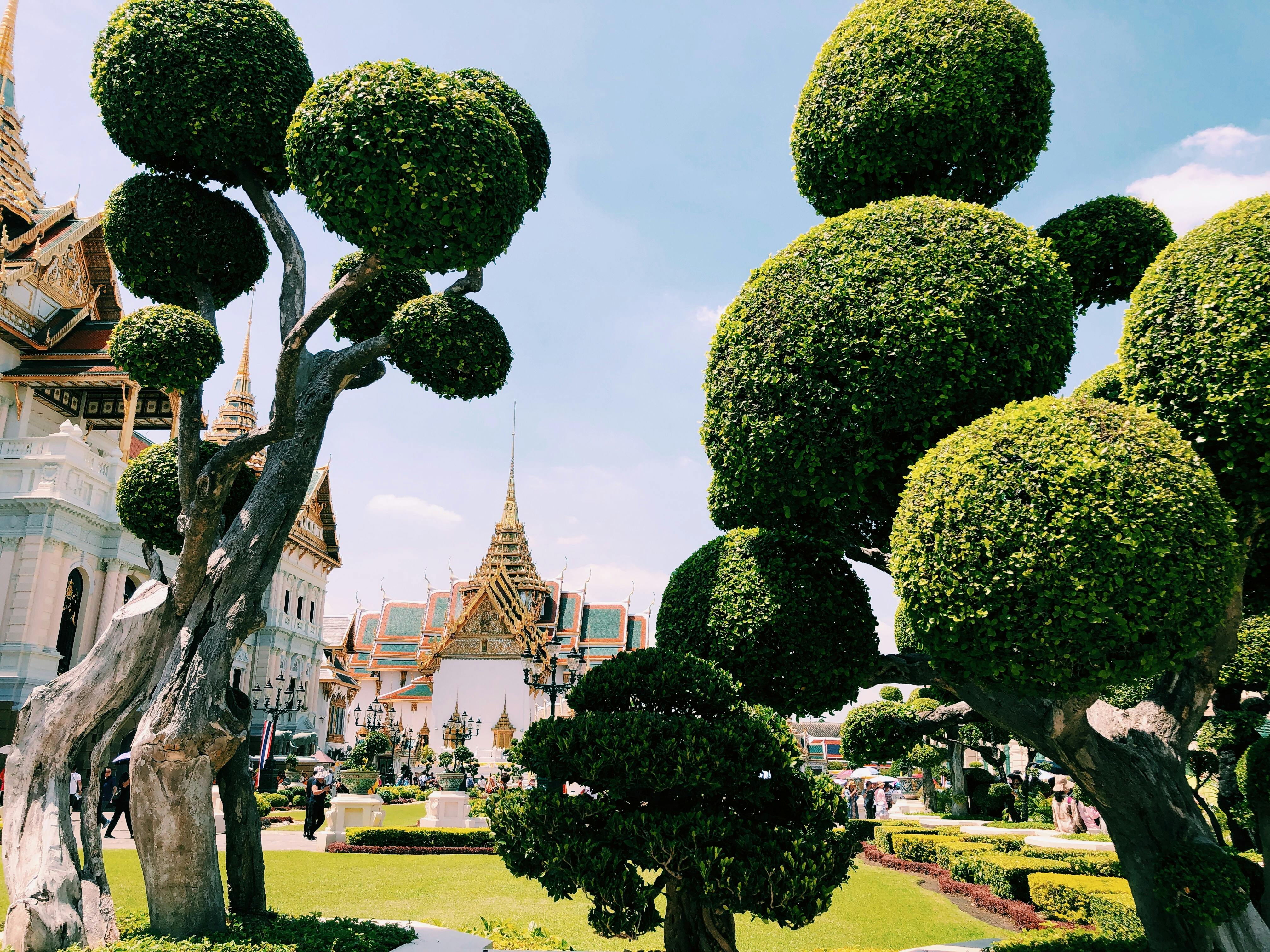 Green trees near buildings in summer day · Free Stock Photo