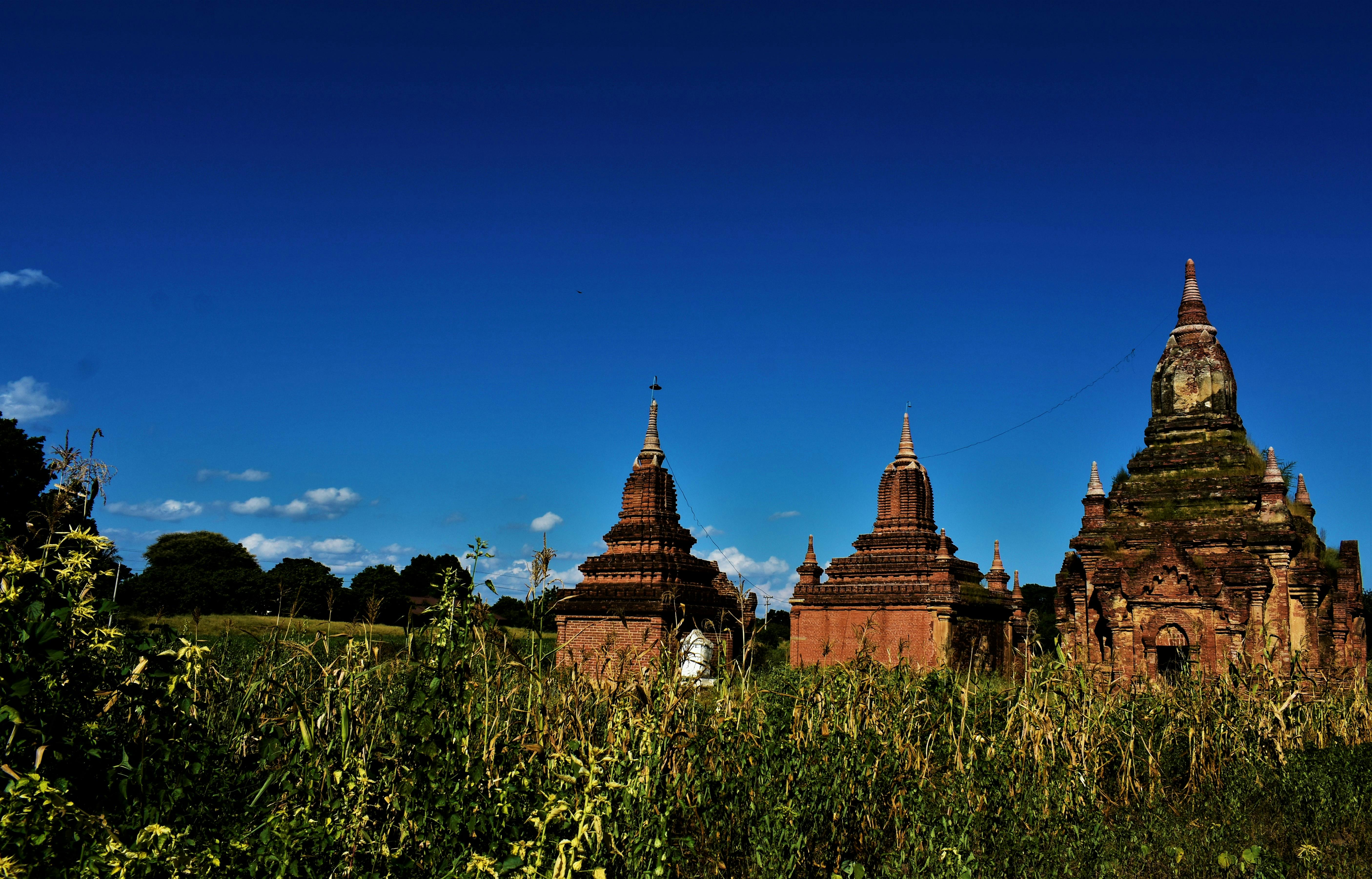 10+ Best Bagan Photos · 100% Free Download · Pexels Stock Photos