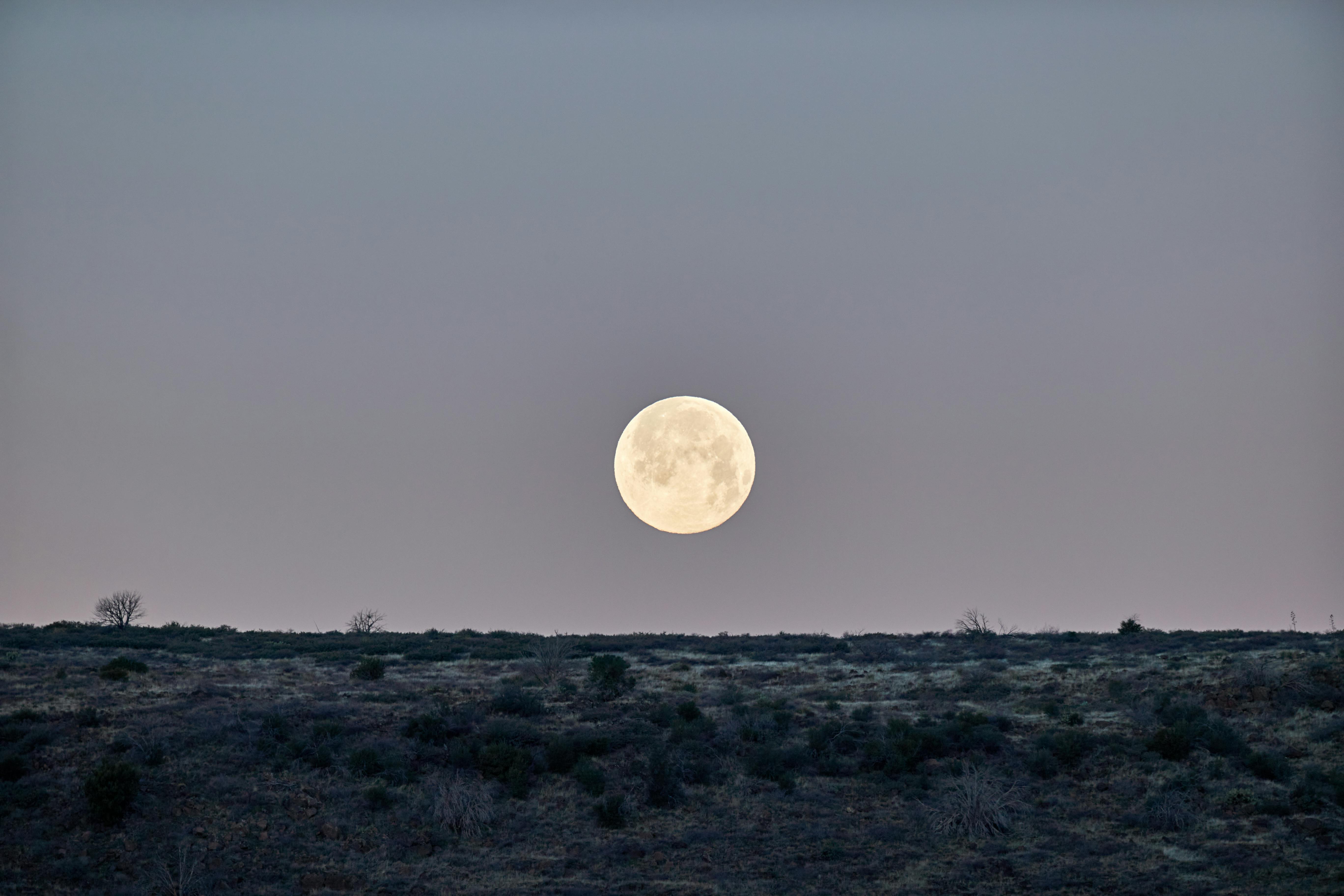 Full Moon over Dessert · Free Stock Photo
