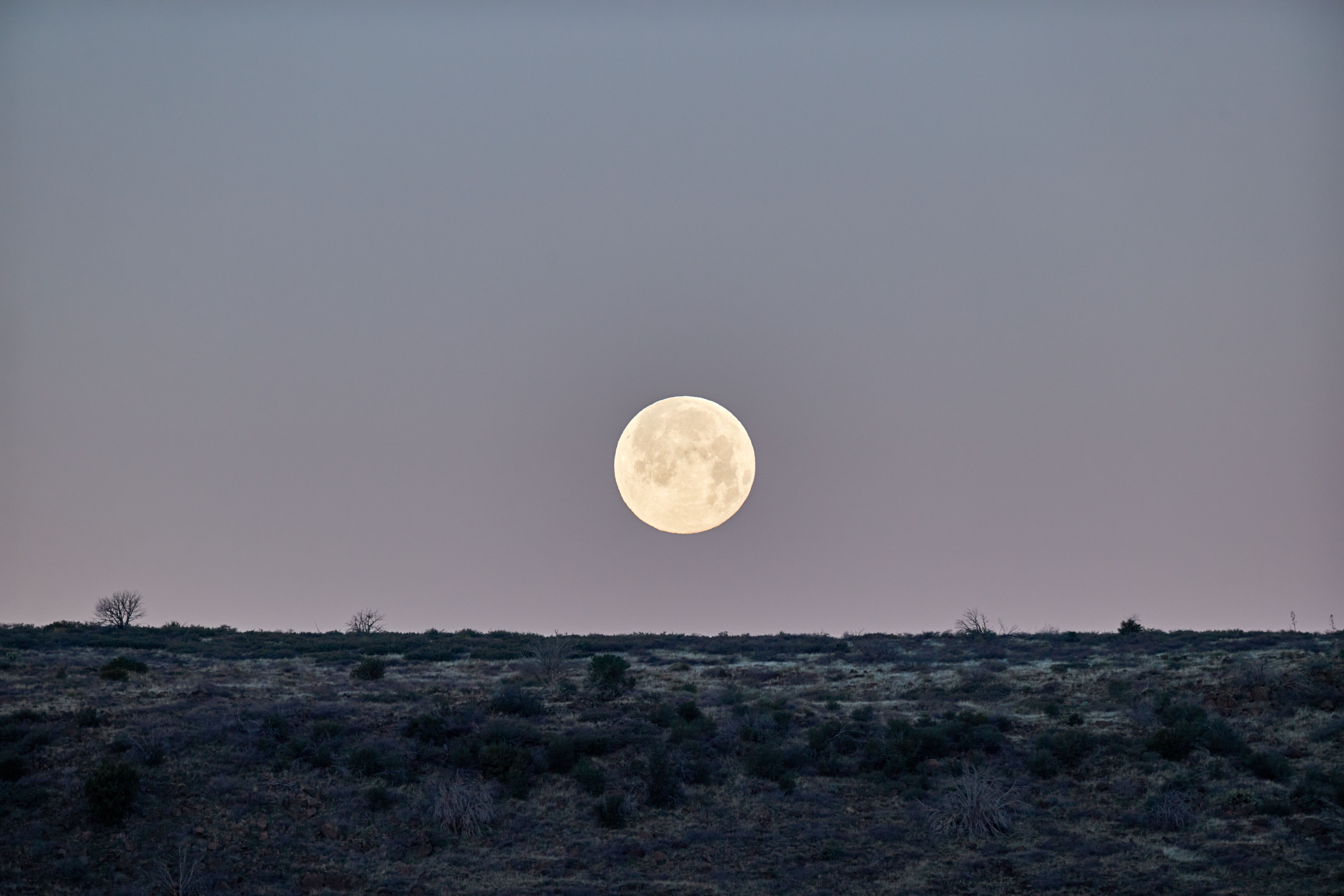 Full Moon on Horizon · Free Stock Photo