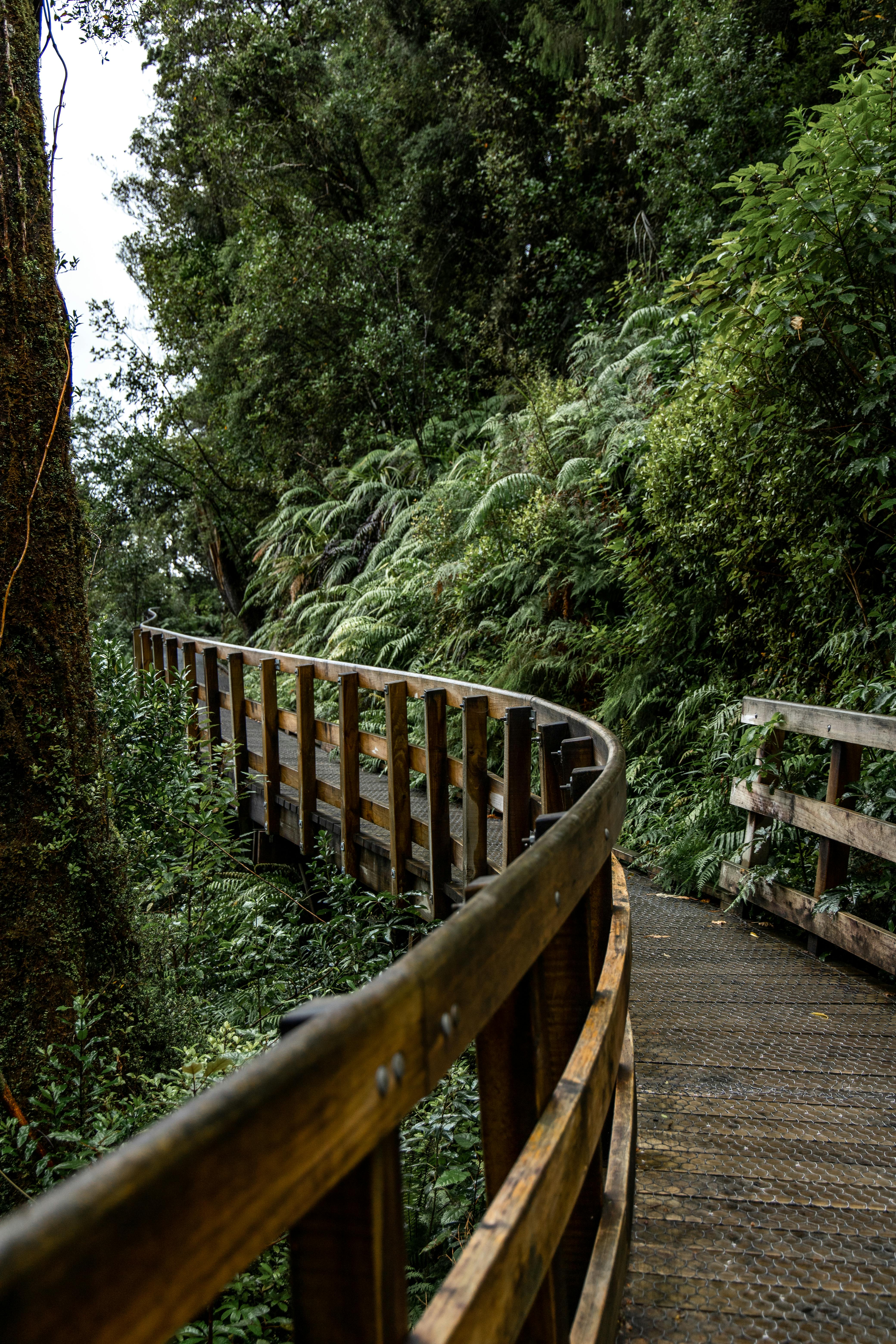 Brown Wooden Bridge Beside Green Leafy Trees · Free Stock Photo
