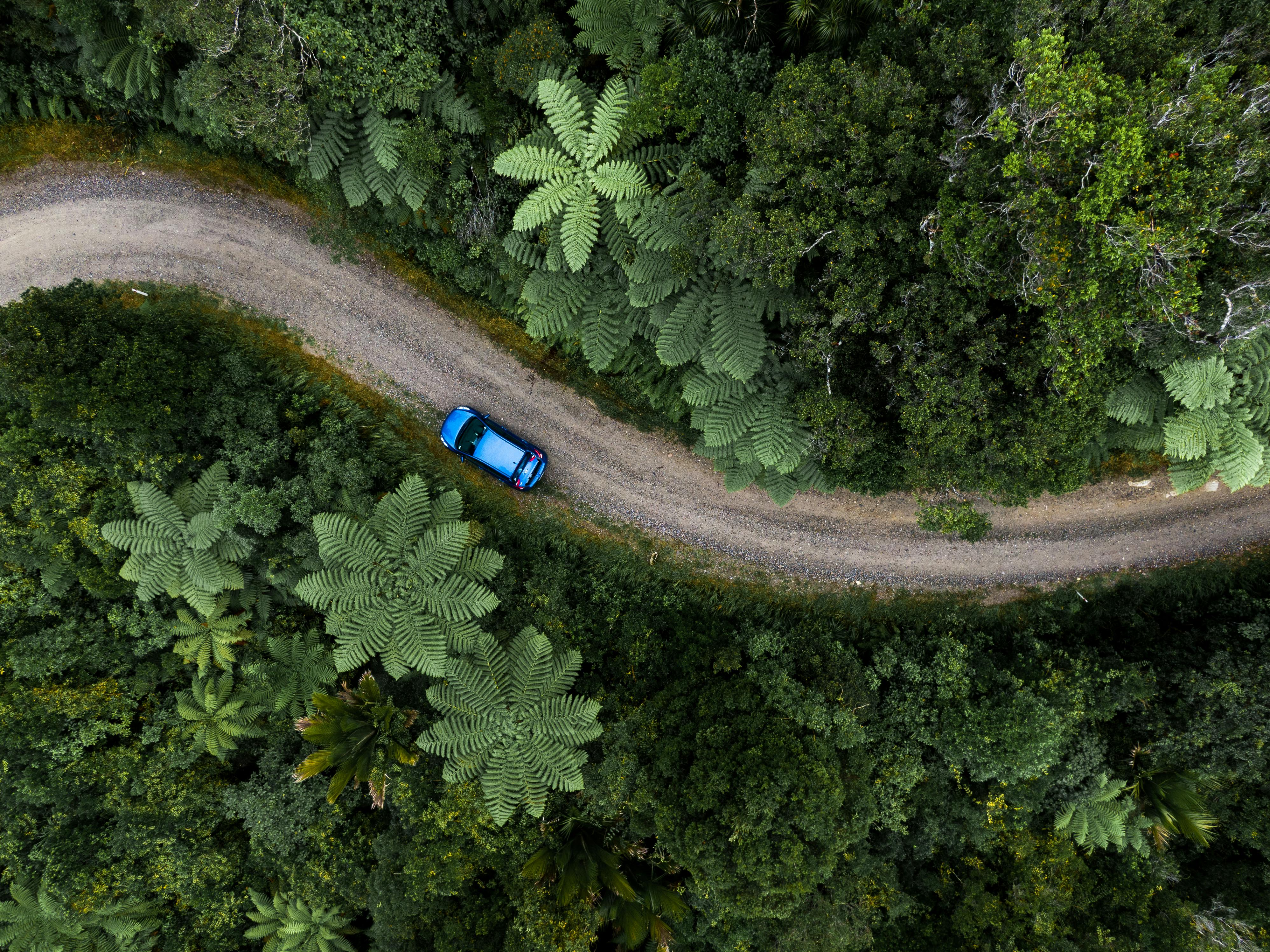 Blue car driving through dense green forest · Free Stock Photo