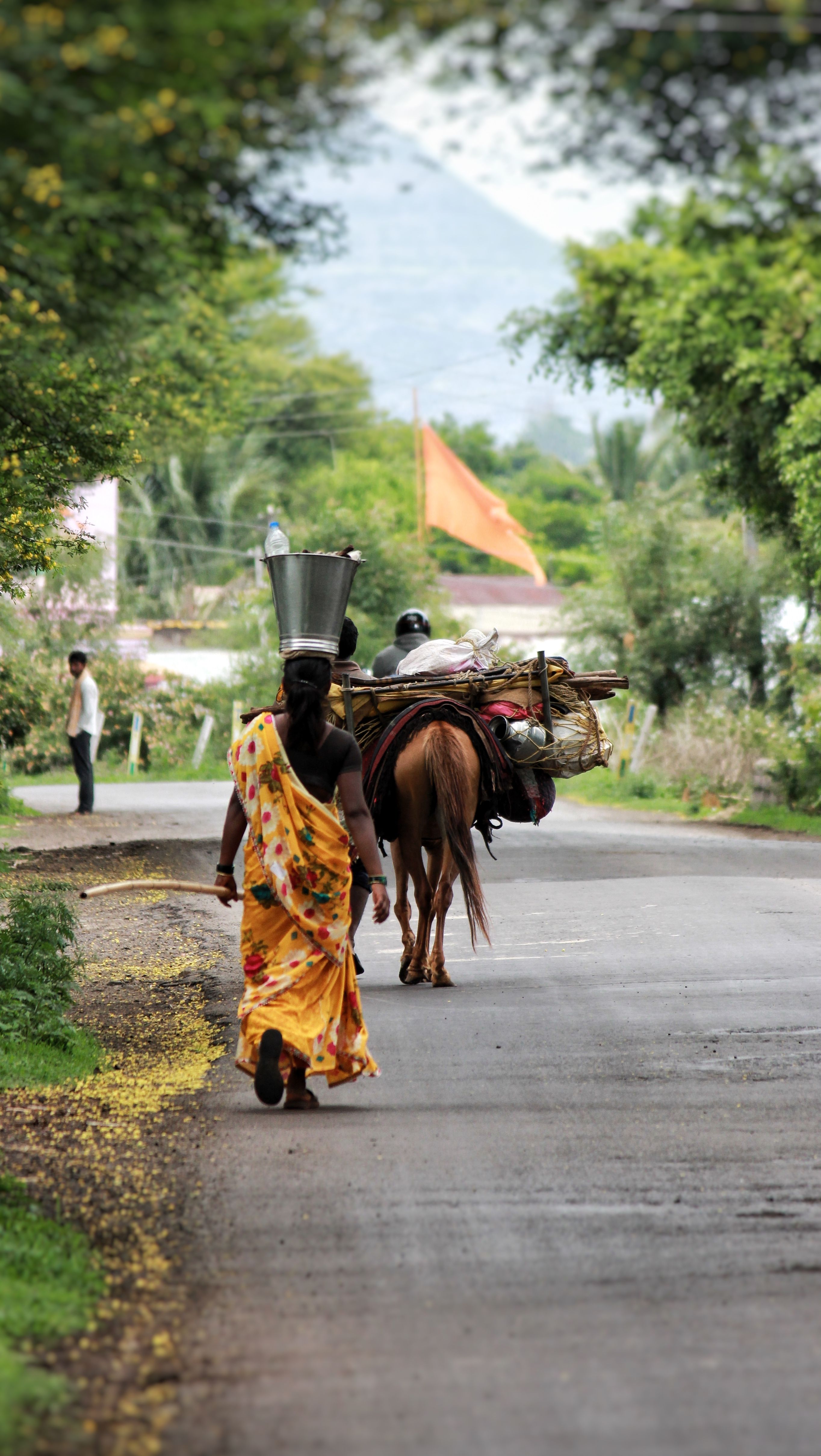 African Rural Culture Photos, Download The BEST Free African Rural ...