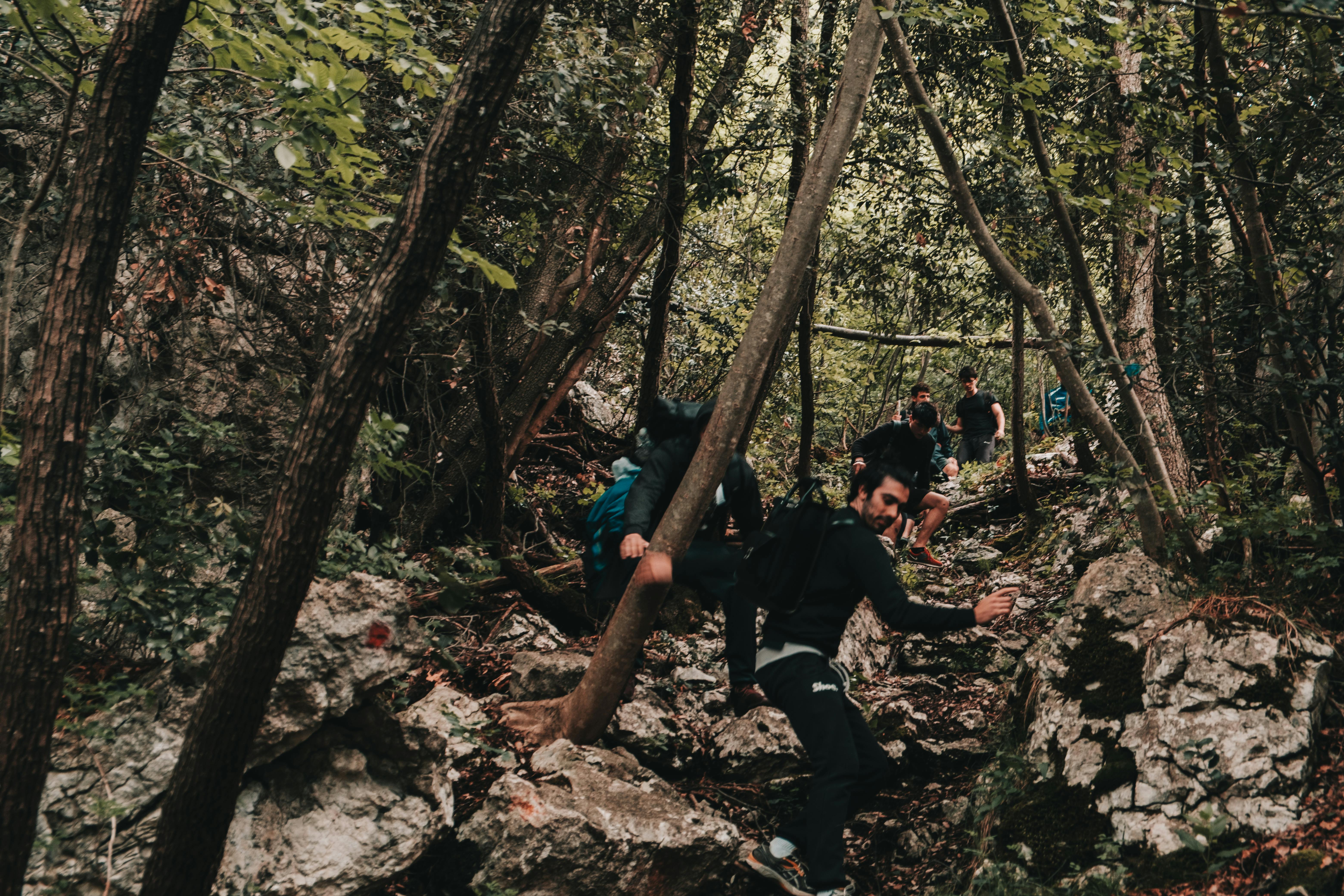 Low Section of Man Standing in Forest · Free Stock Photo