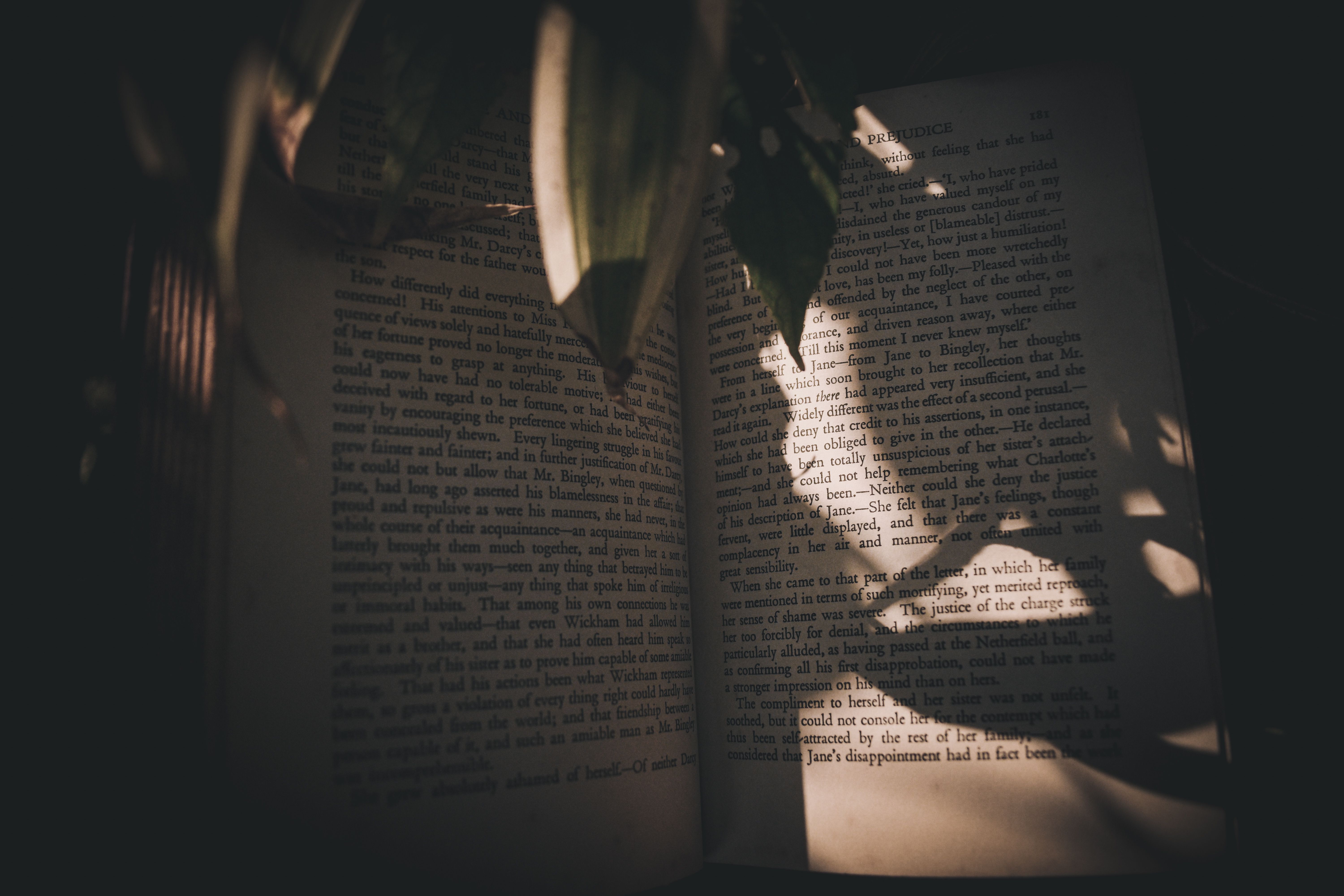 Learning Dark Shade Photos, Download The BEST Free Learning Dark Shade ...