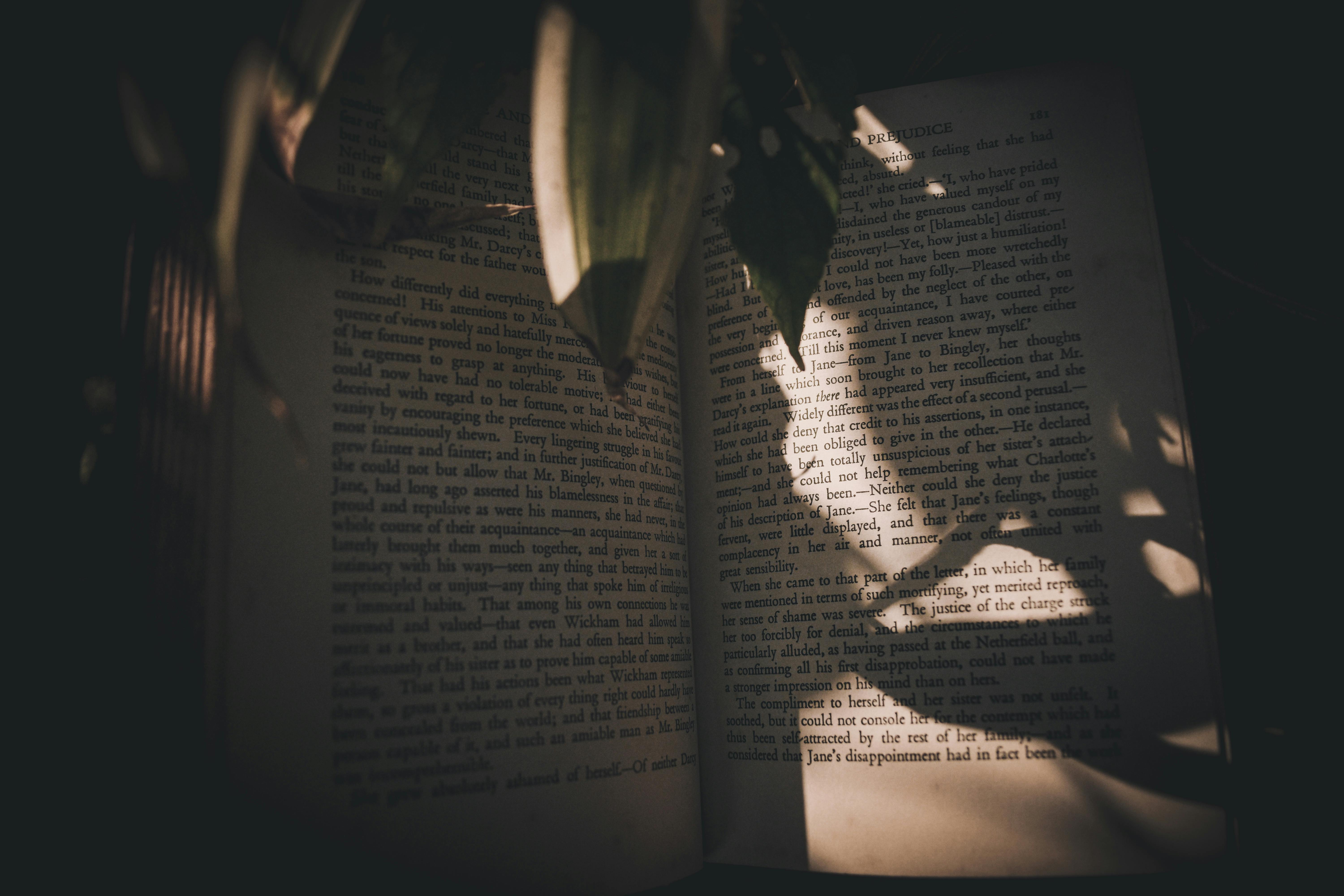 Opened book placed in shadow near plant · Free Stock Photo