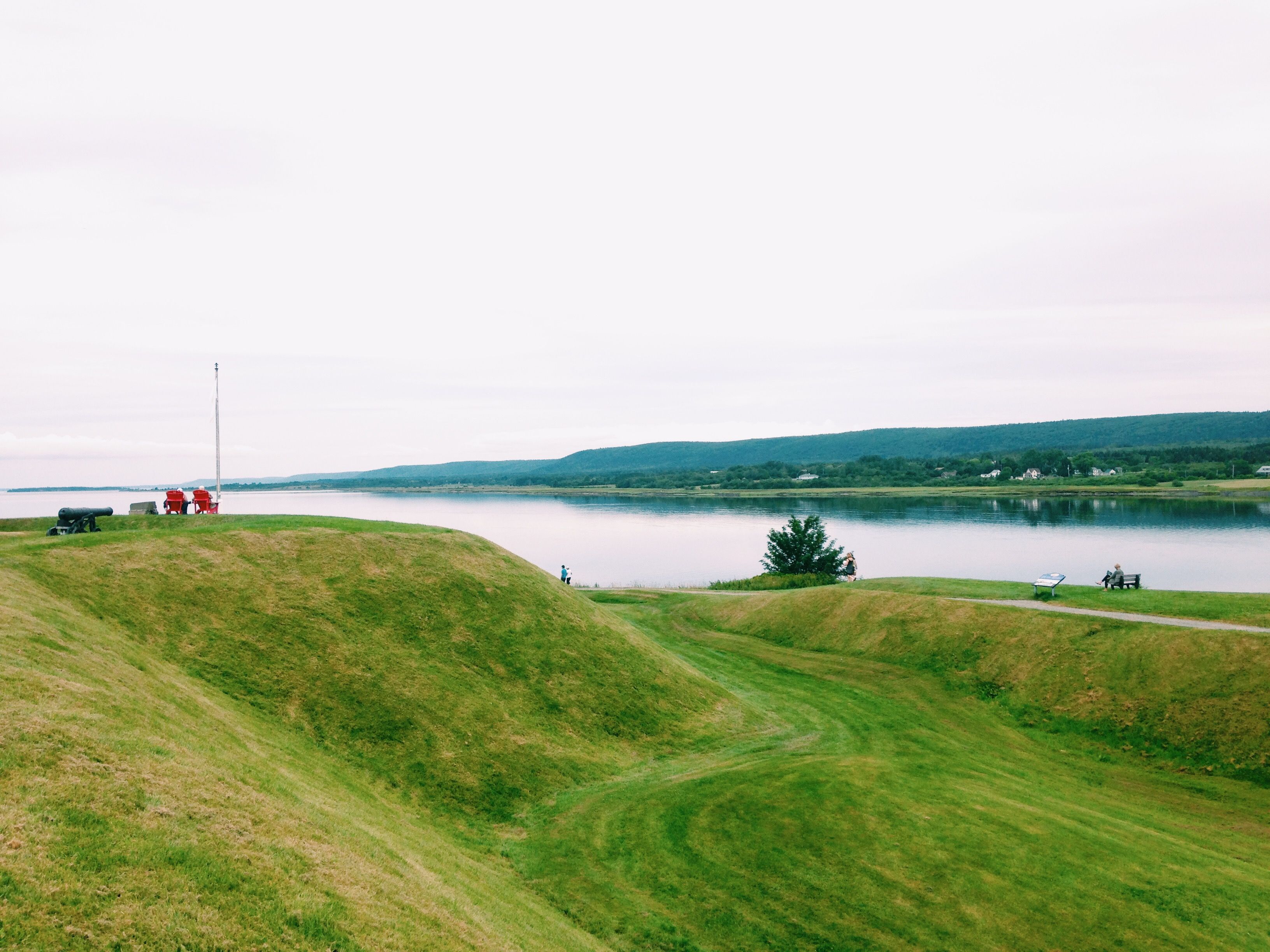 Green Grass Field · Free Stock Photo