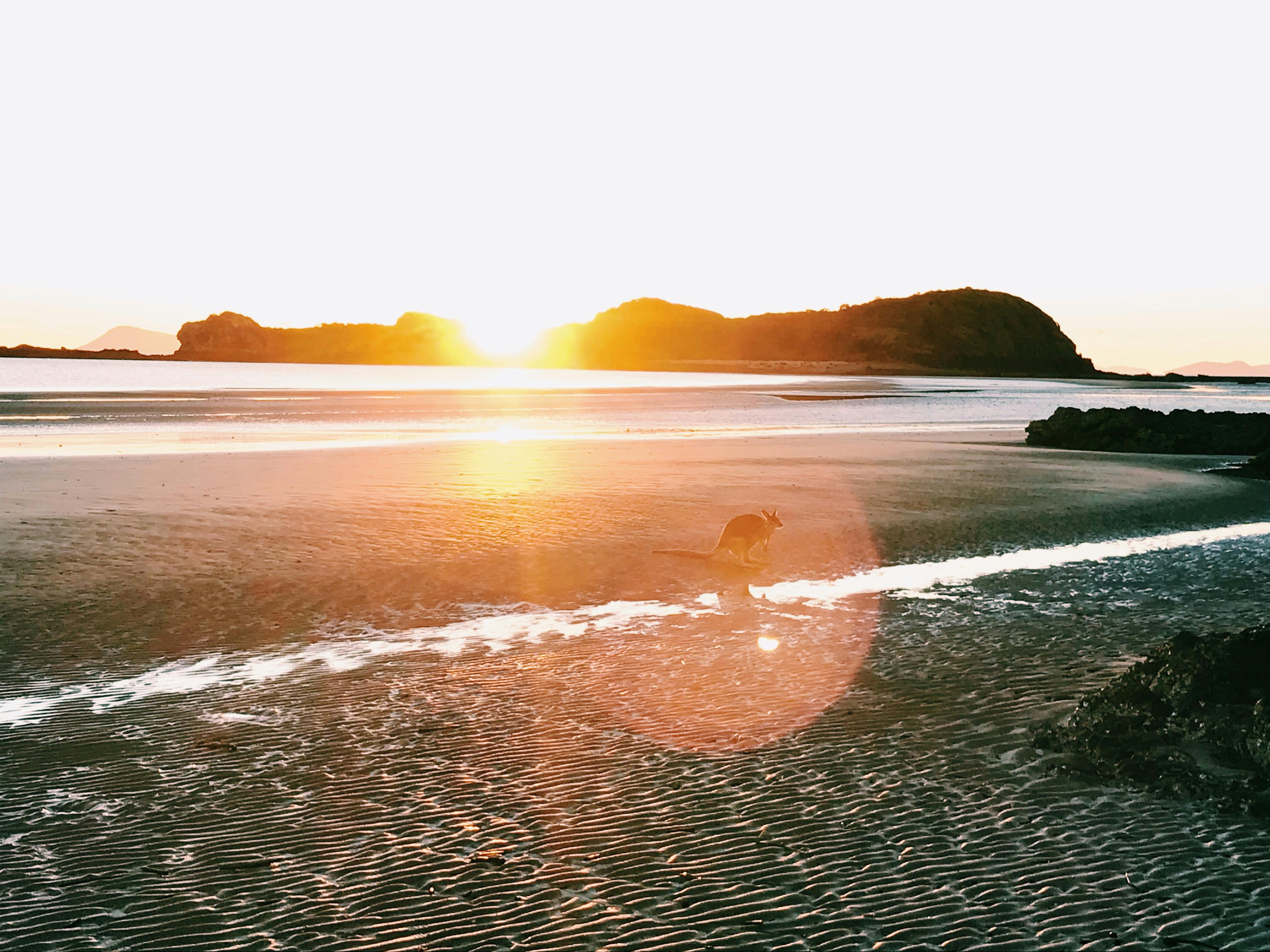 Sea Shore View on Sunset · Free Stock Photo