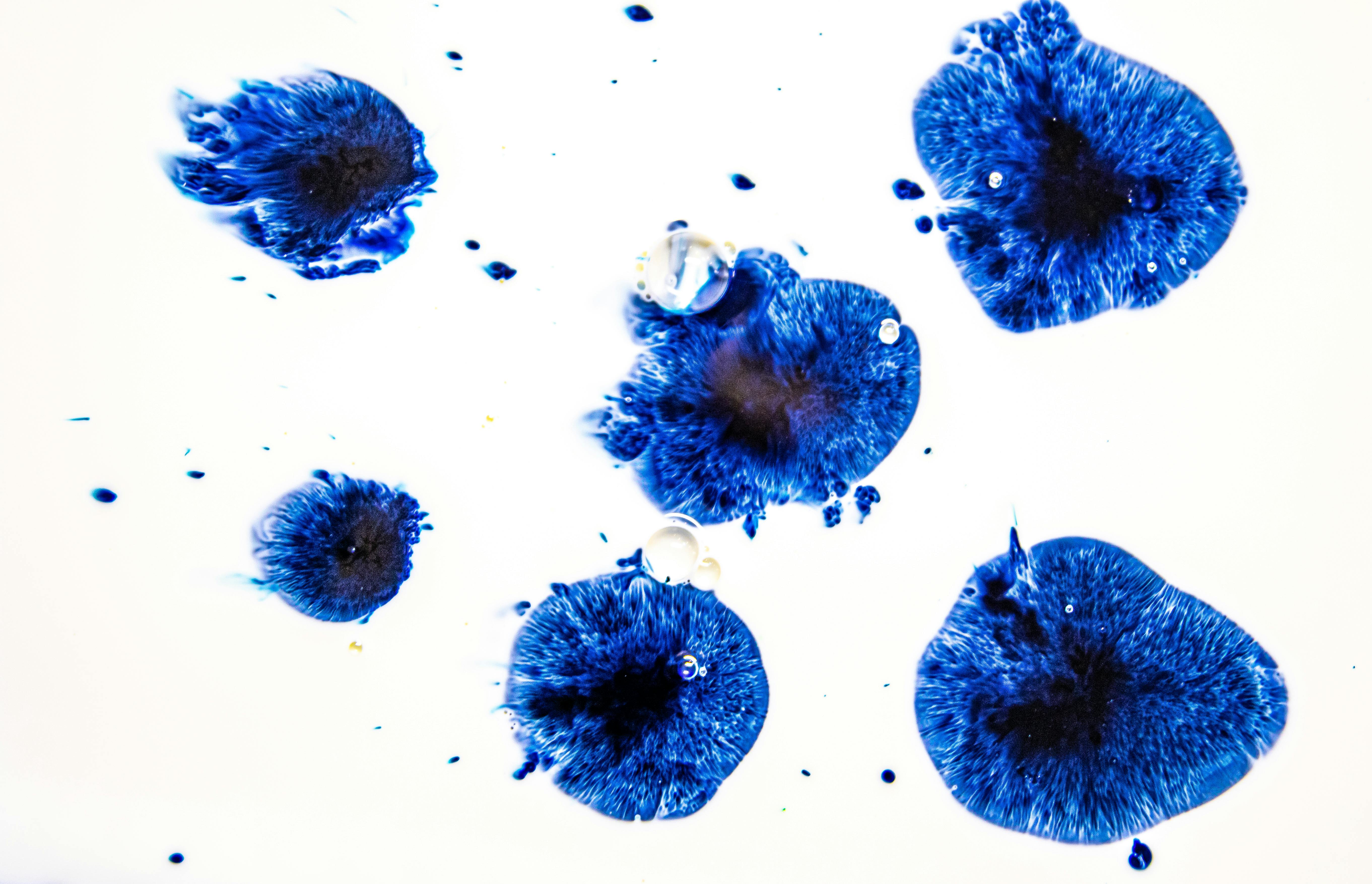 Blue Paint Splat Photos, Download The BEST Free Blue Paint Splat Stock ...