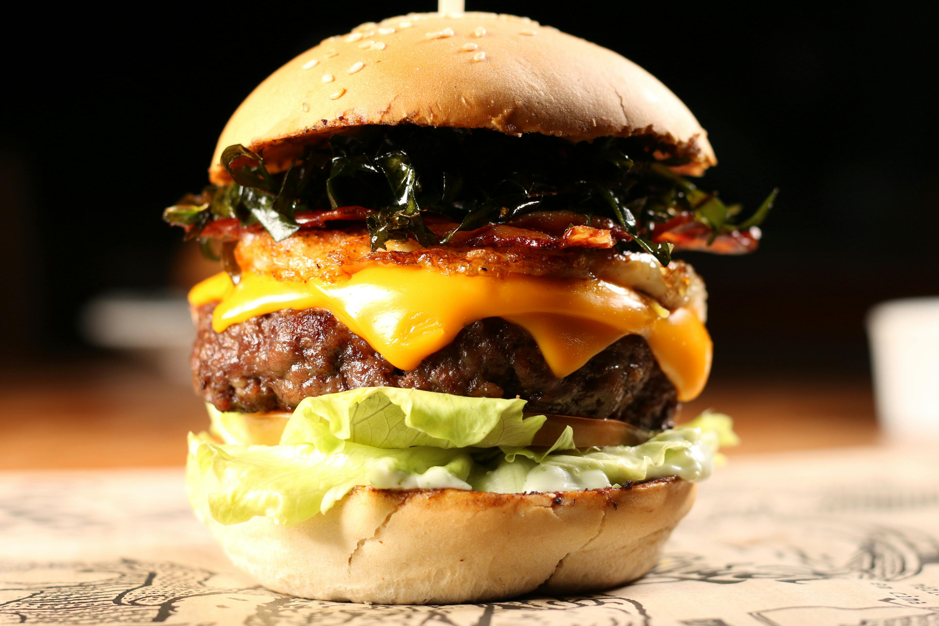 Burger Presentation Photos, Download The BEST Free Burger Presentation ...