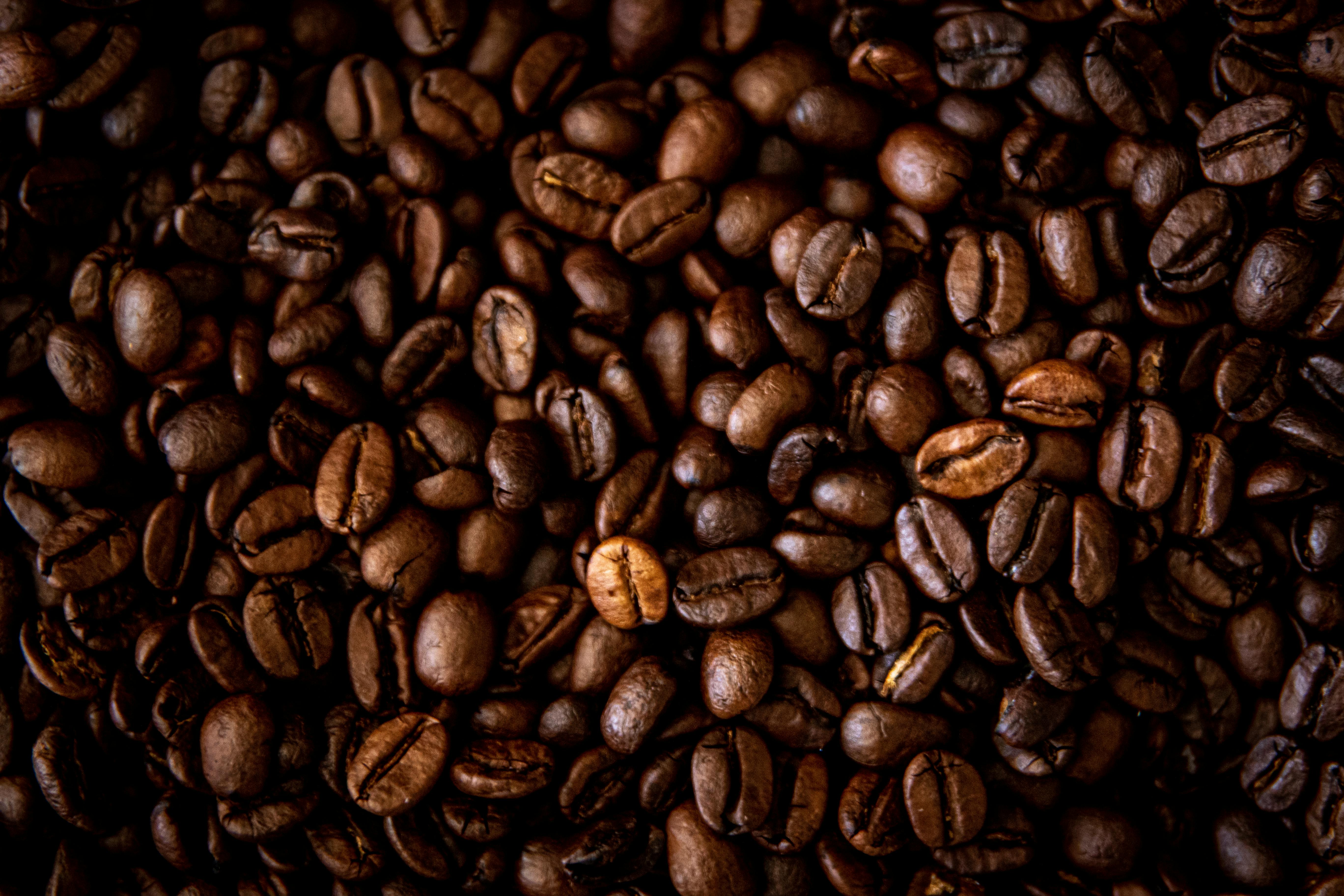 Foto de stock gratuita sobre afecto, alubia, alubias, amante del café ...