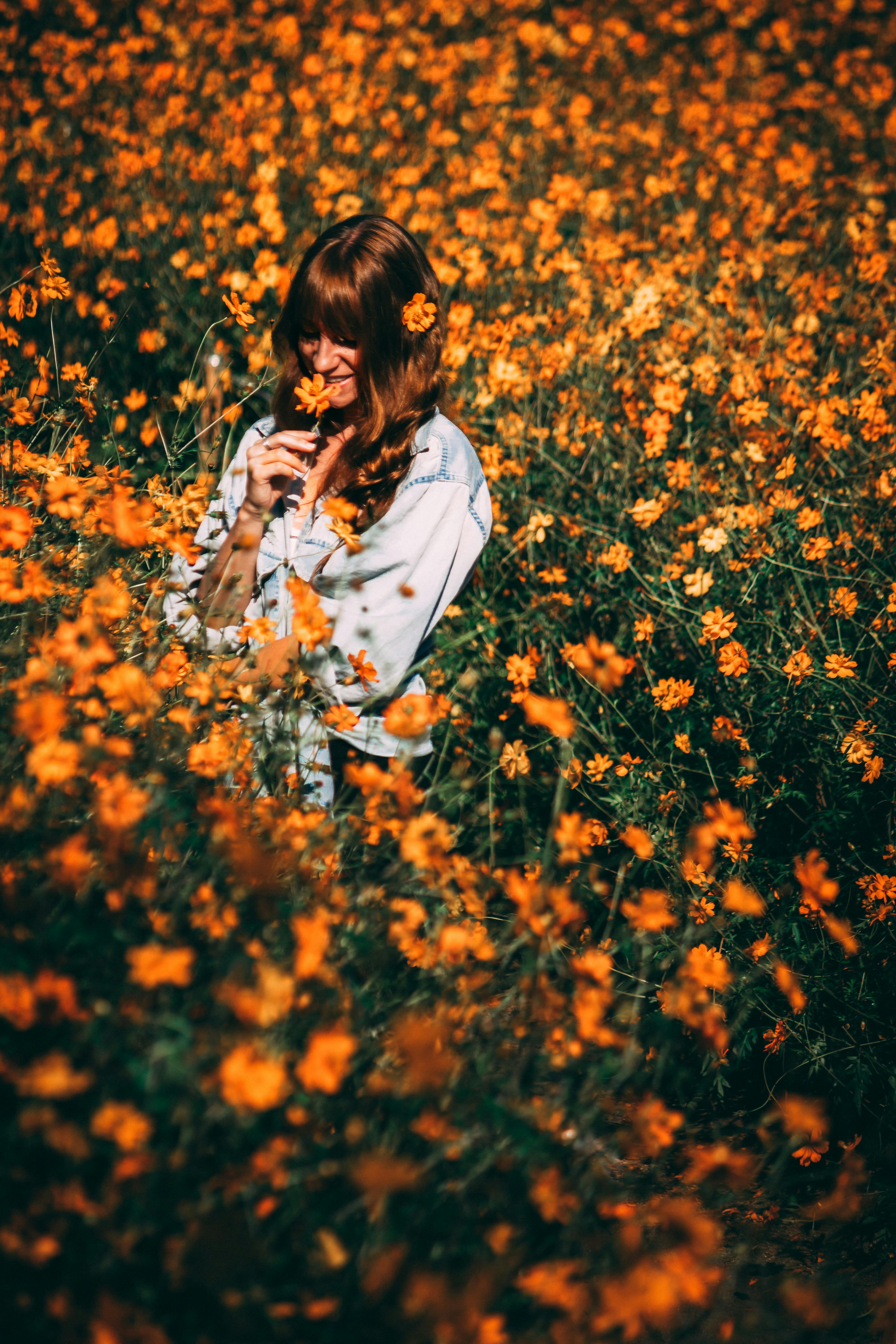 Woman Looking at Tree · Free Stock Photo
