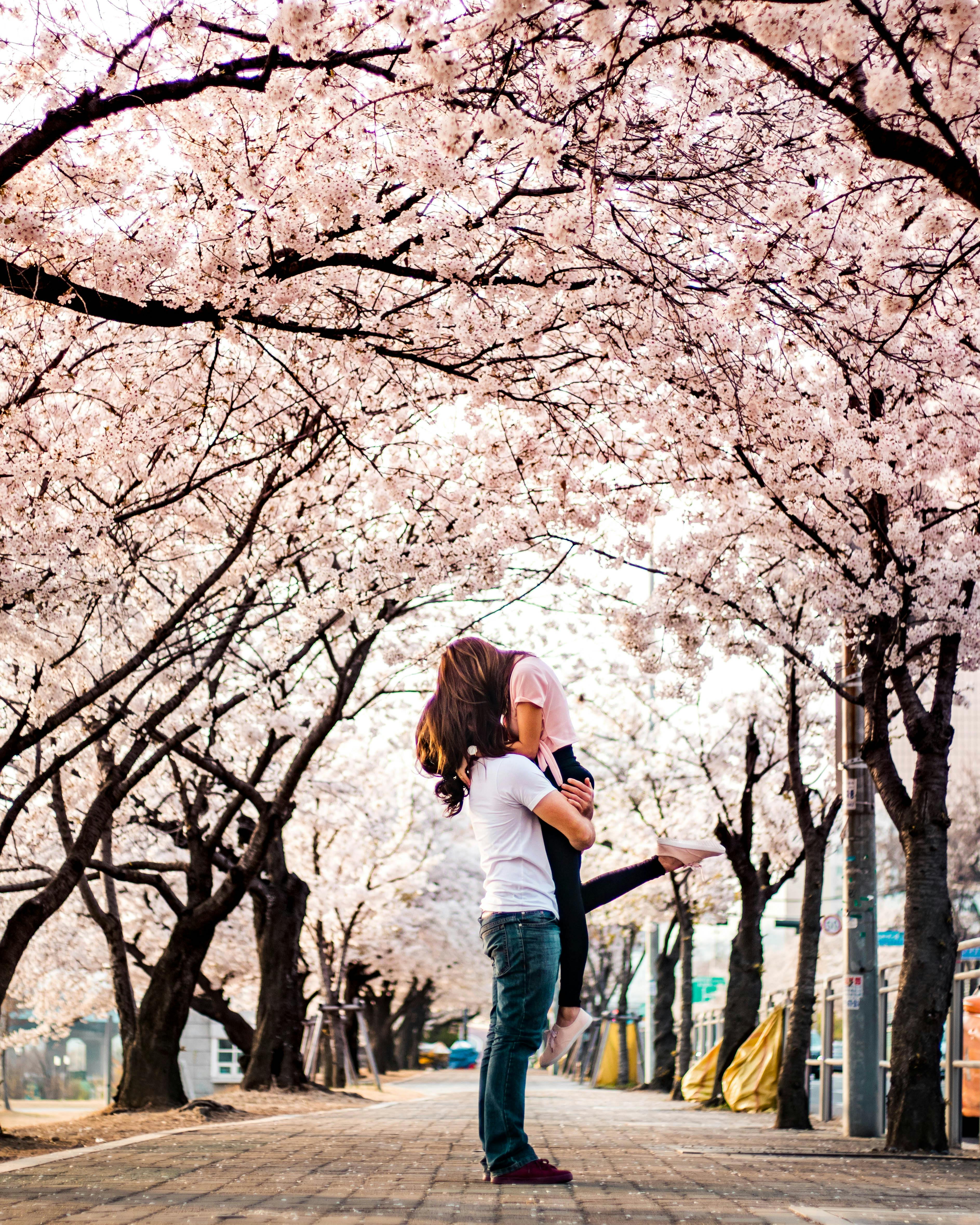 A Couple Kissing Under the Pink Tree · Free Stock Photo