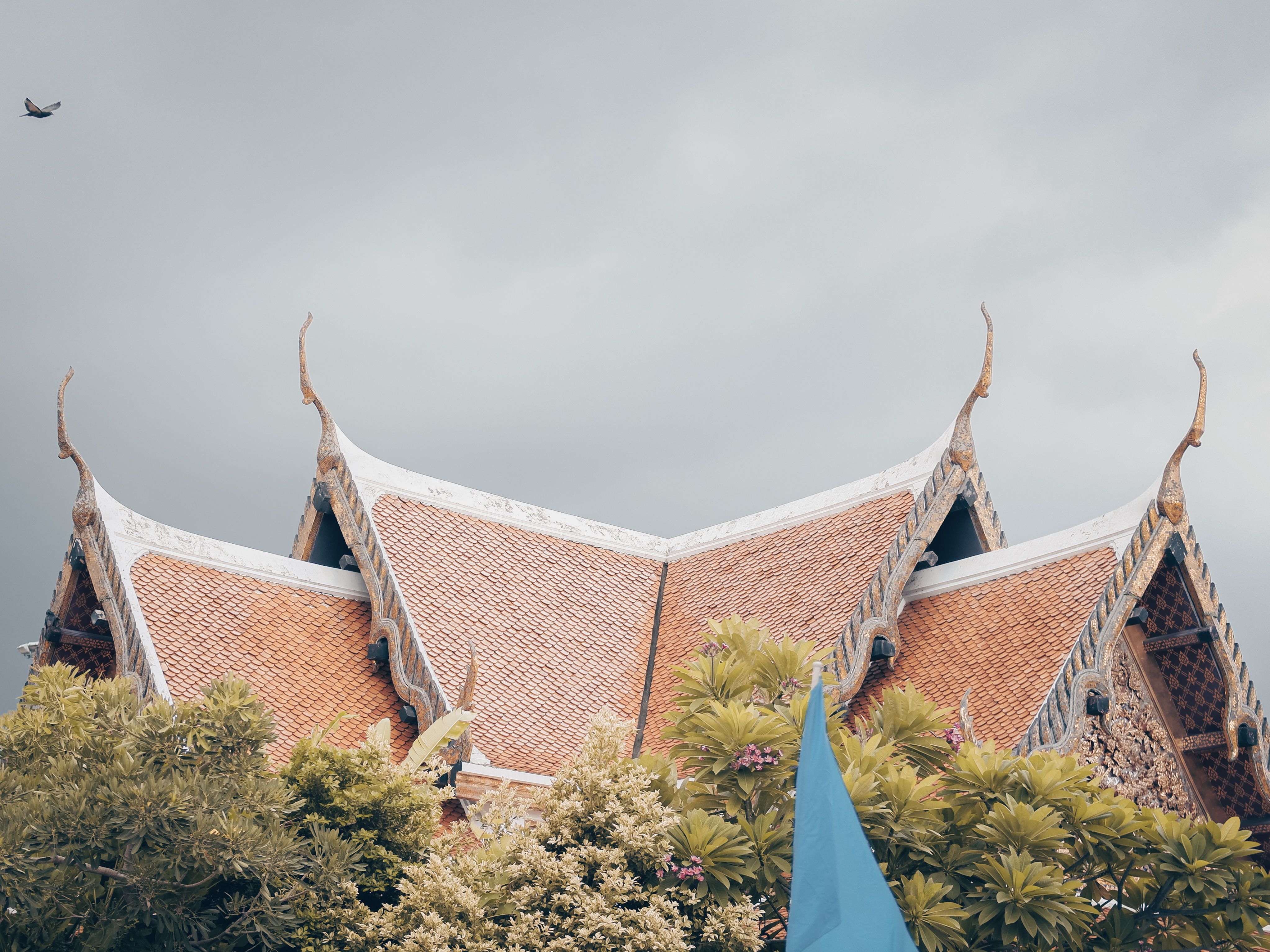 Corrugated Roof Photos, Download Free Corrugated Roof Stock Photos & HD ...