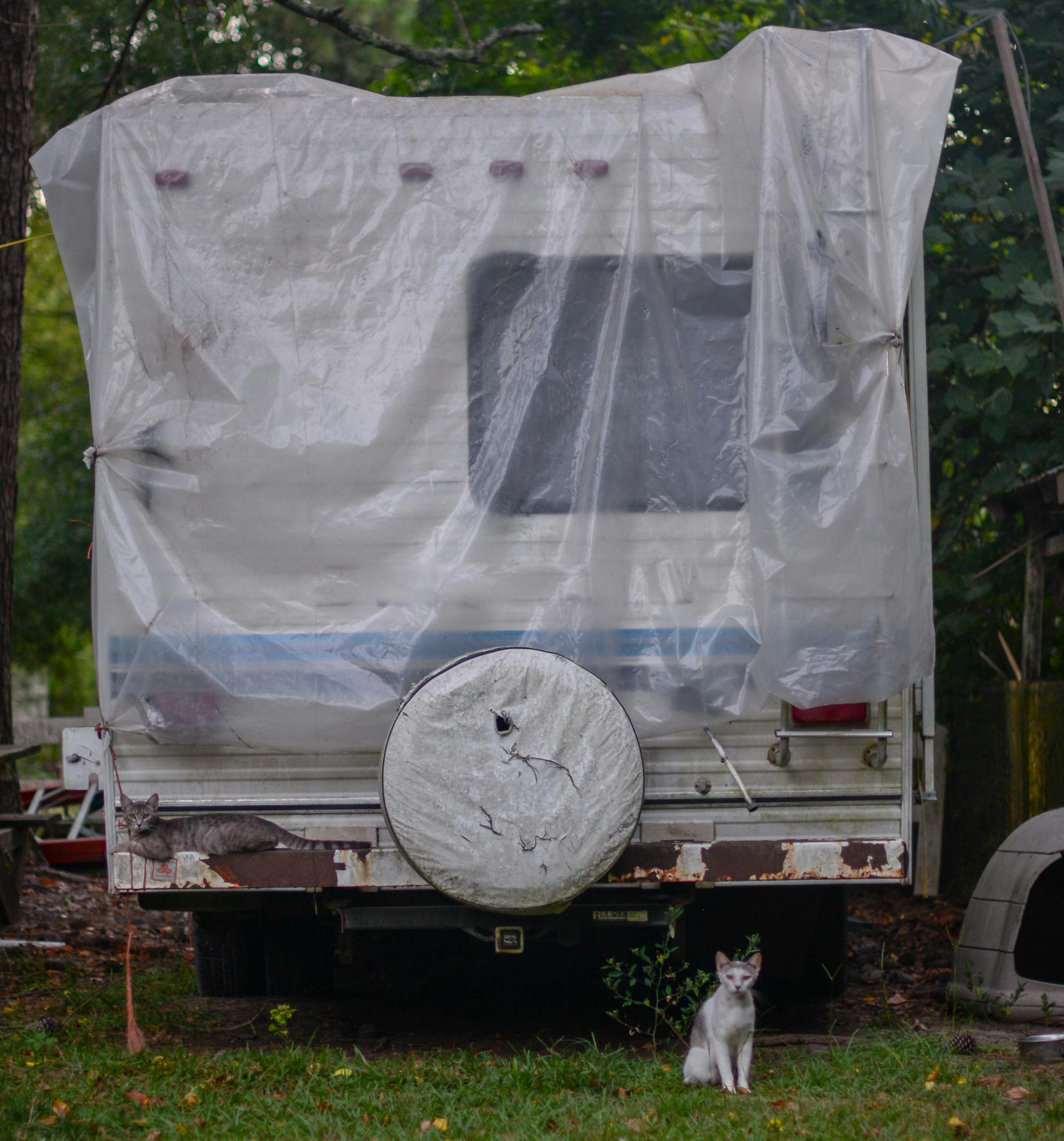 Max Keane A Trash Truck Photos, Download The BEST Free Max Keane A ...