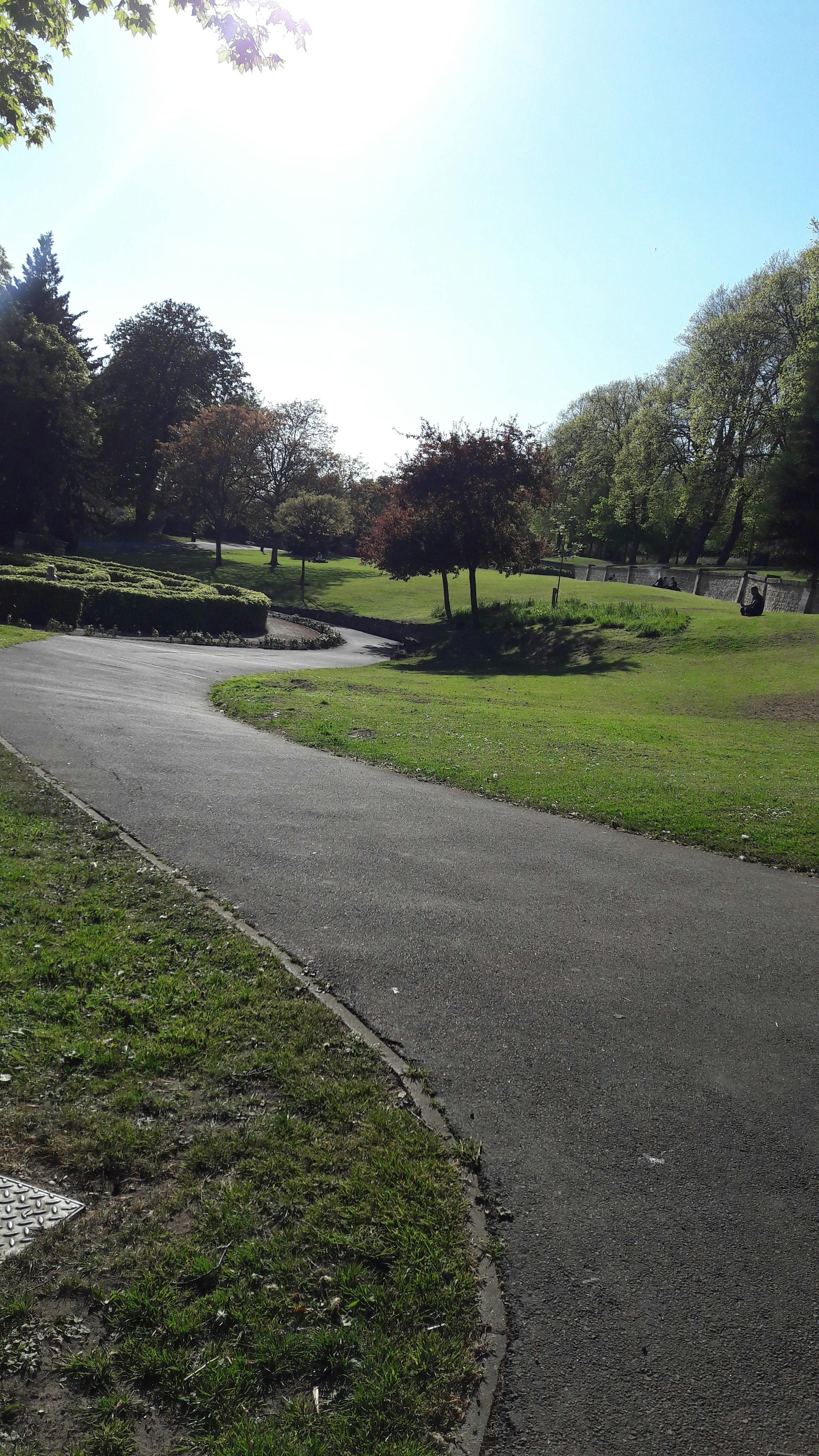 Free stock photo of city park, grass, green