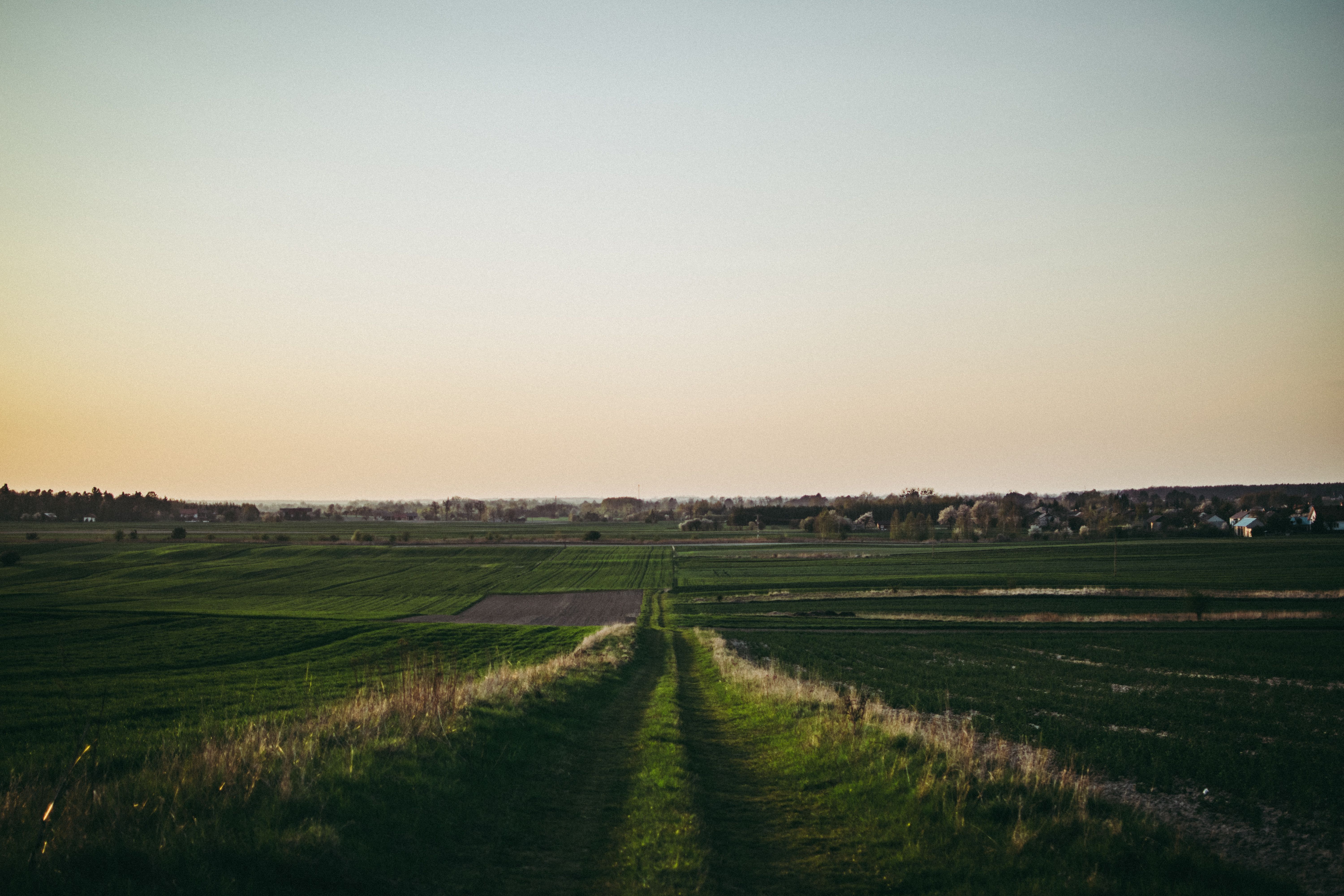 A Grassy Field · Free Stock Photo