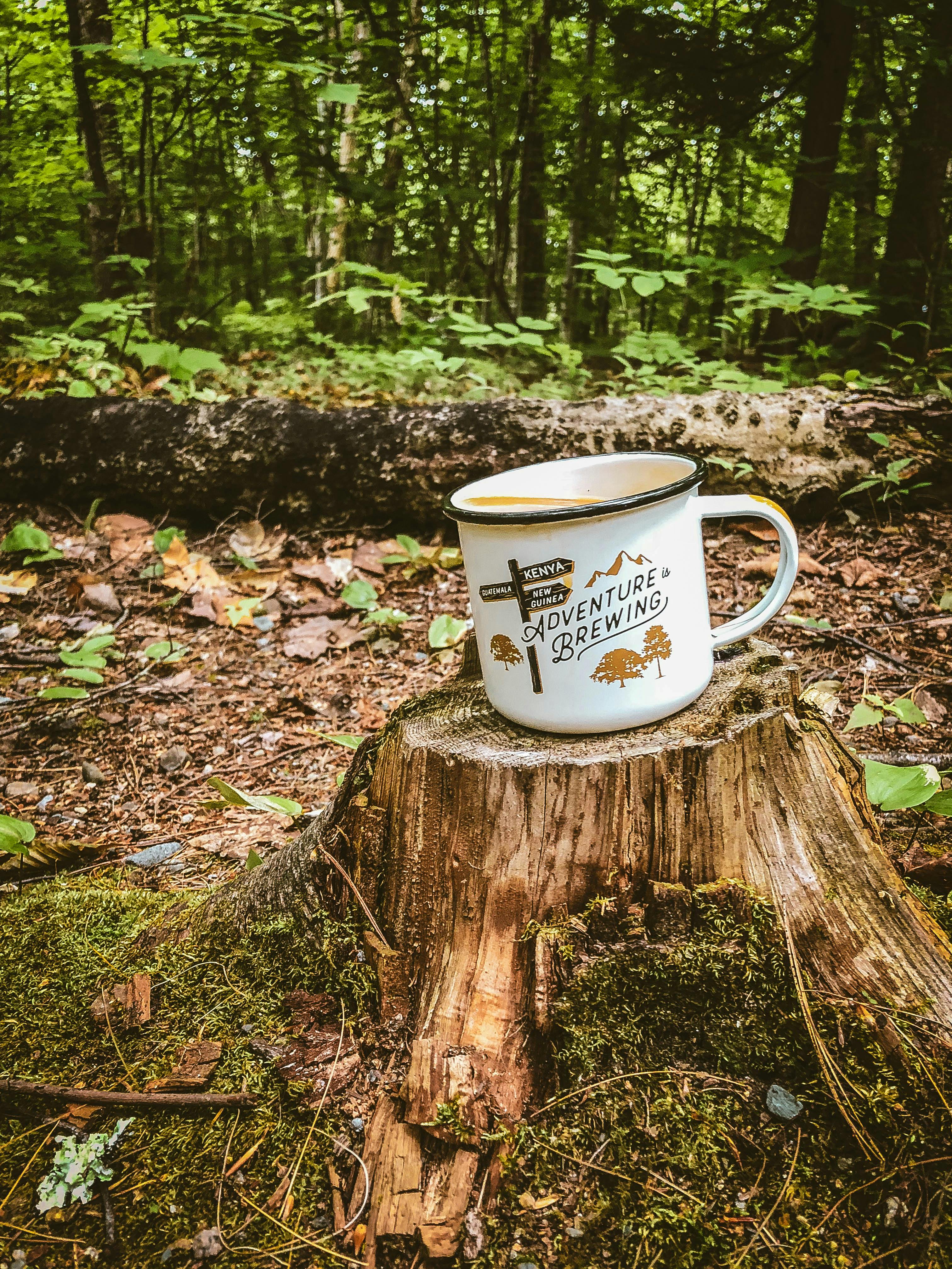 White Ceramic Mug on A Tree Stump · Free Stock Photo