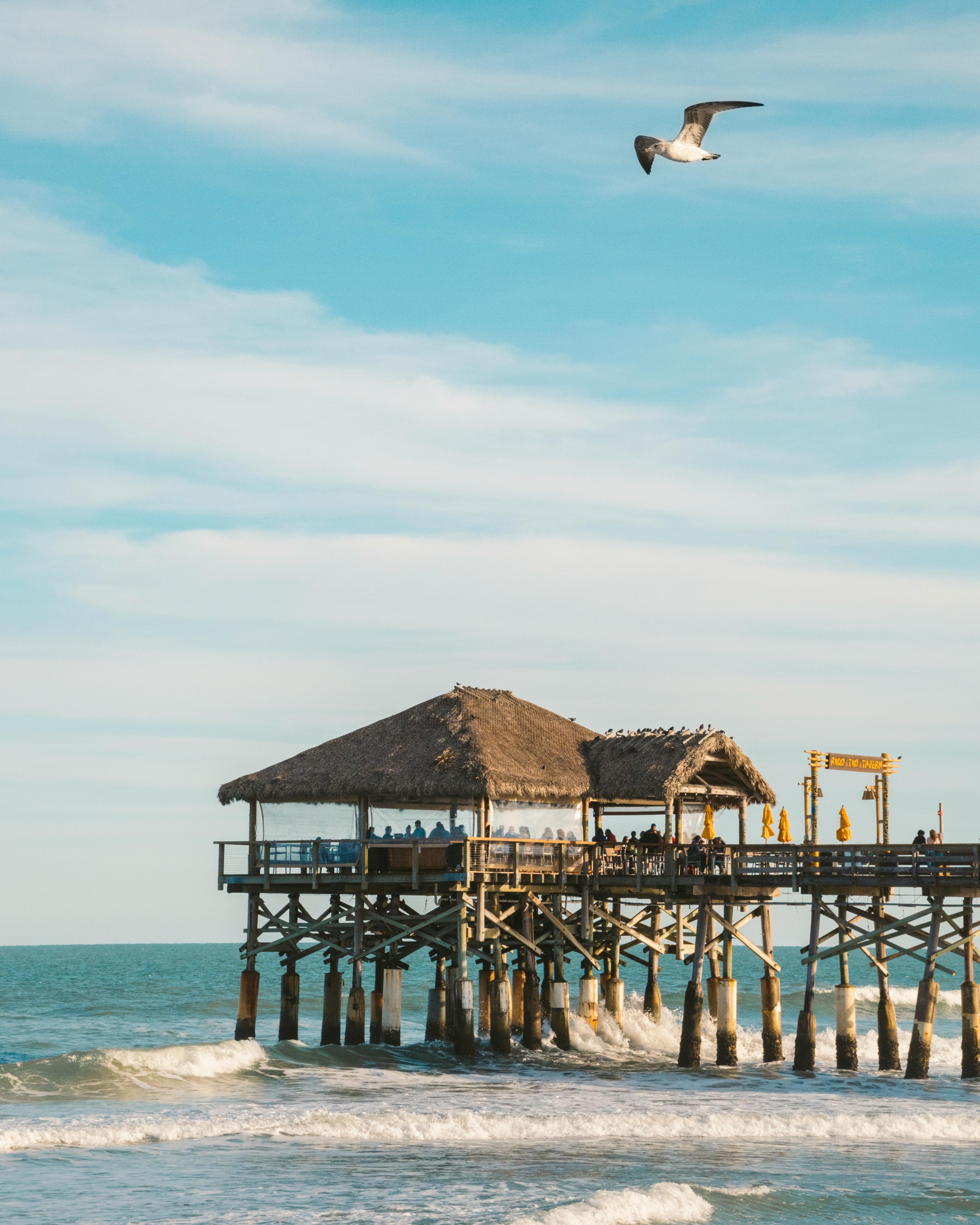 Pier with pavilion above ocean and flying bird in sky · Free Stock Photo