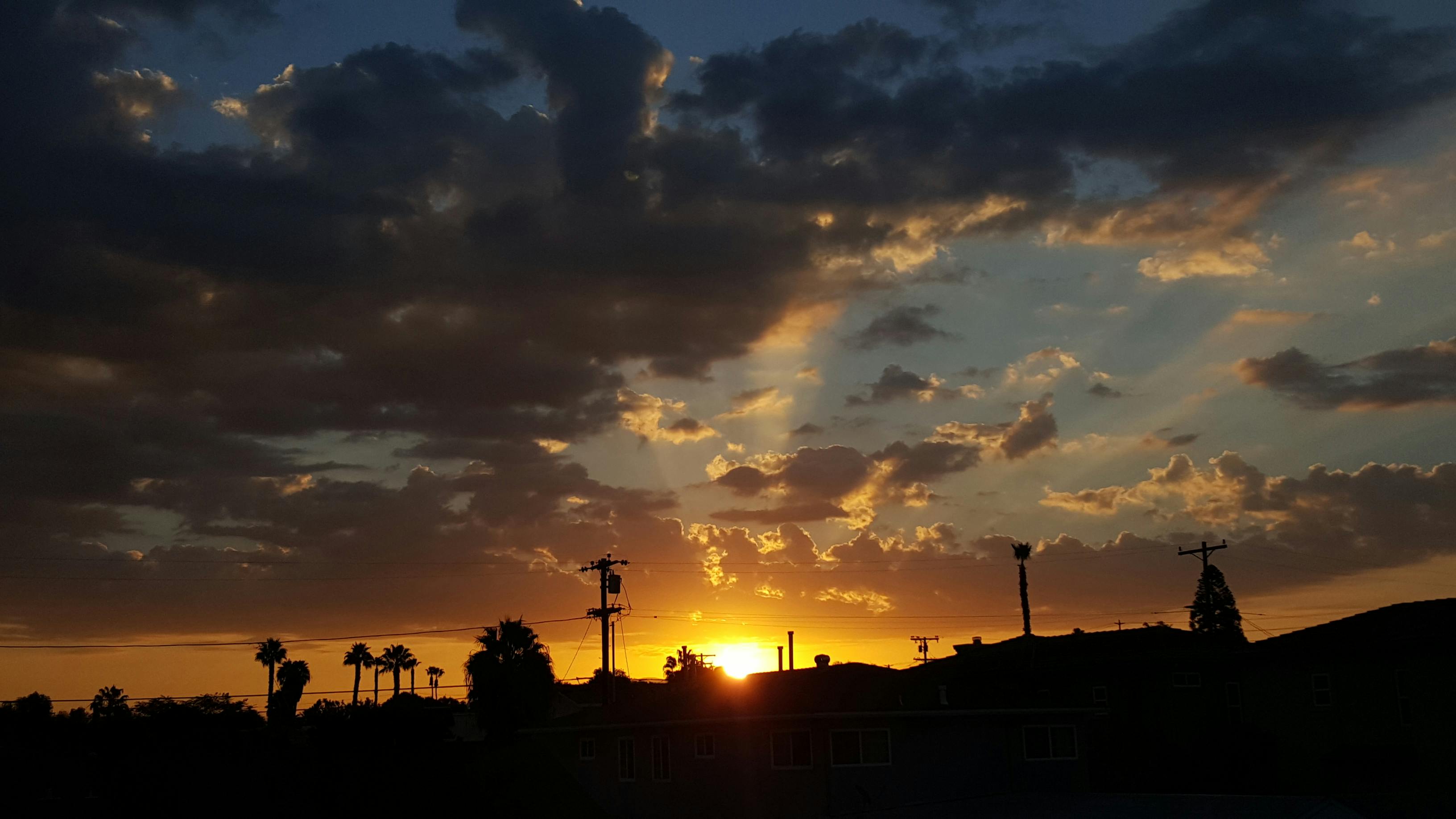 Oskar Rivera - 사진