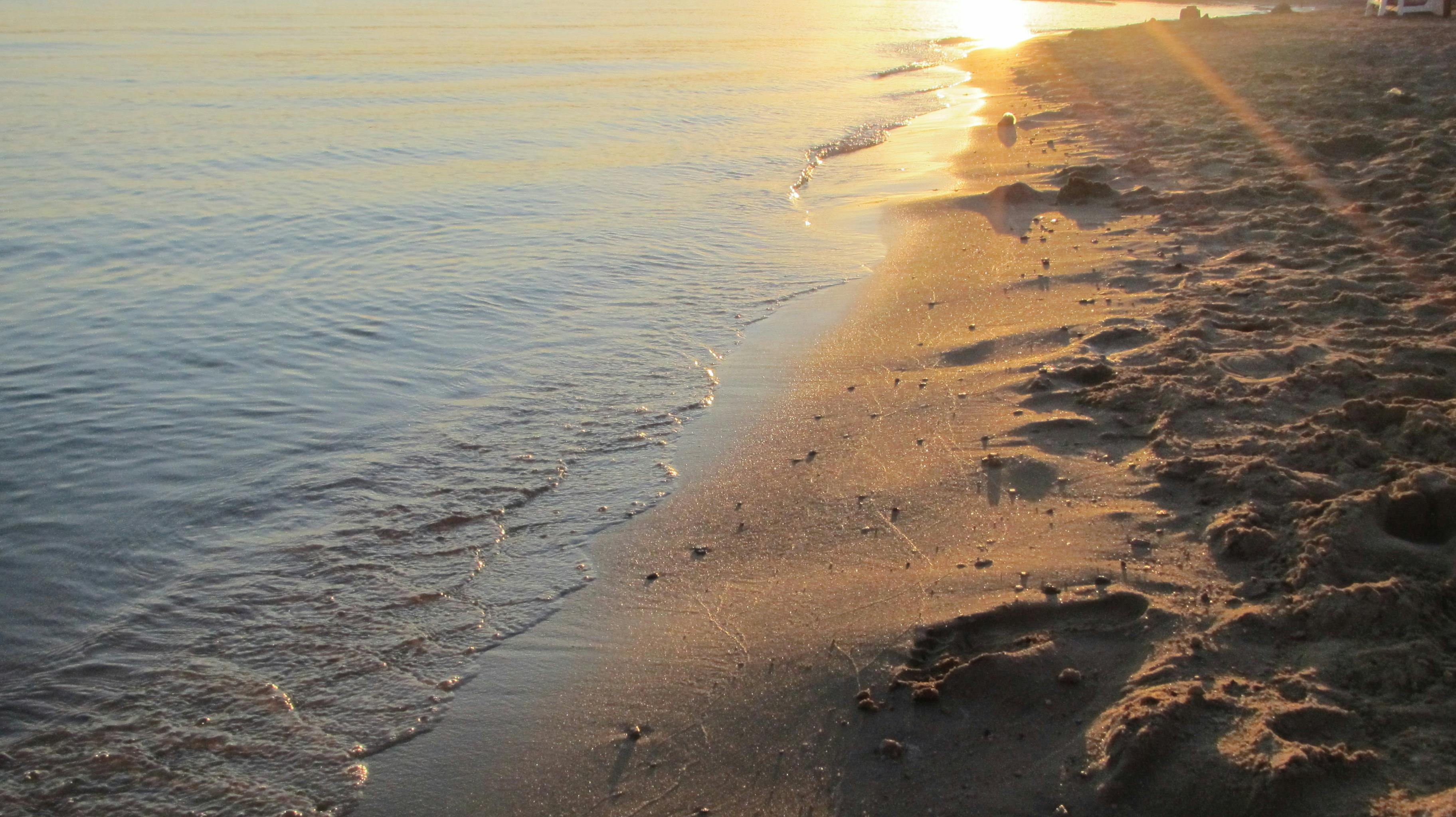 Warm Beach Desktop Background