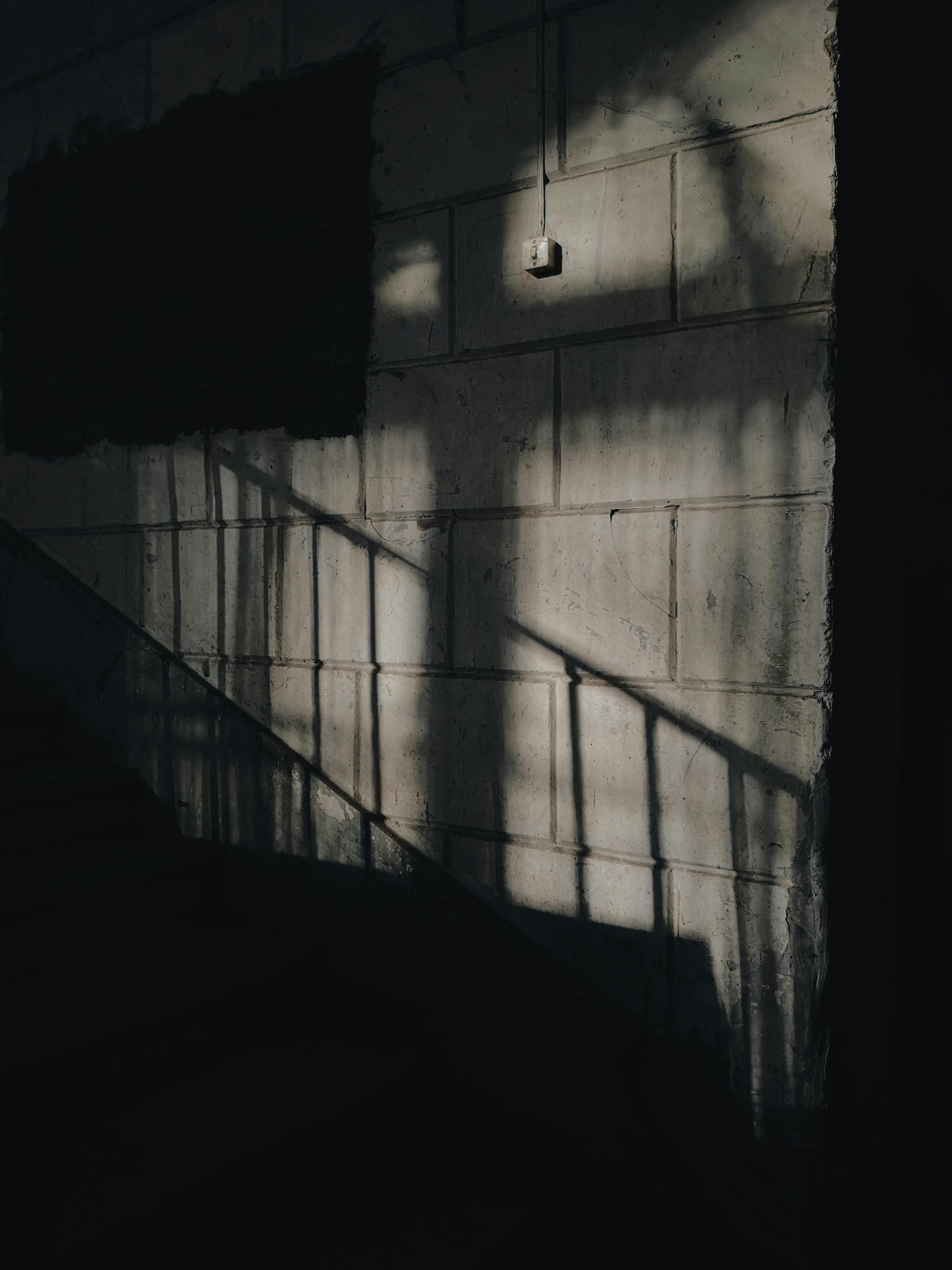 Shadows on a Wall · Free Stock Photo