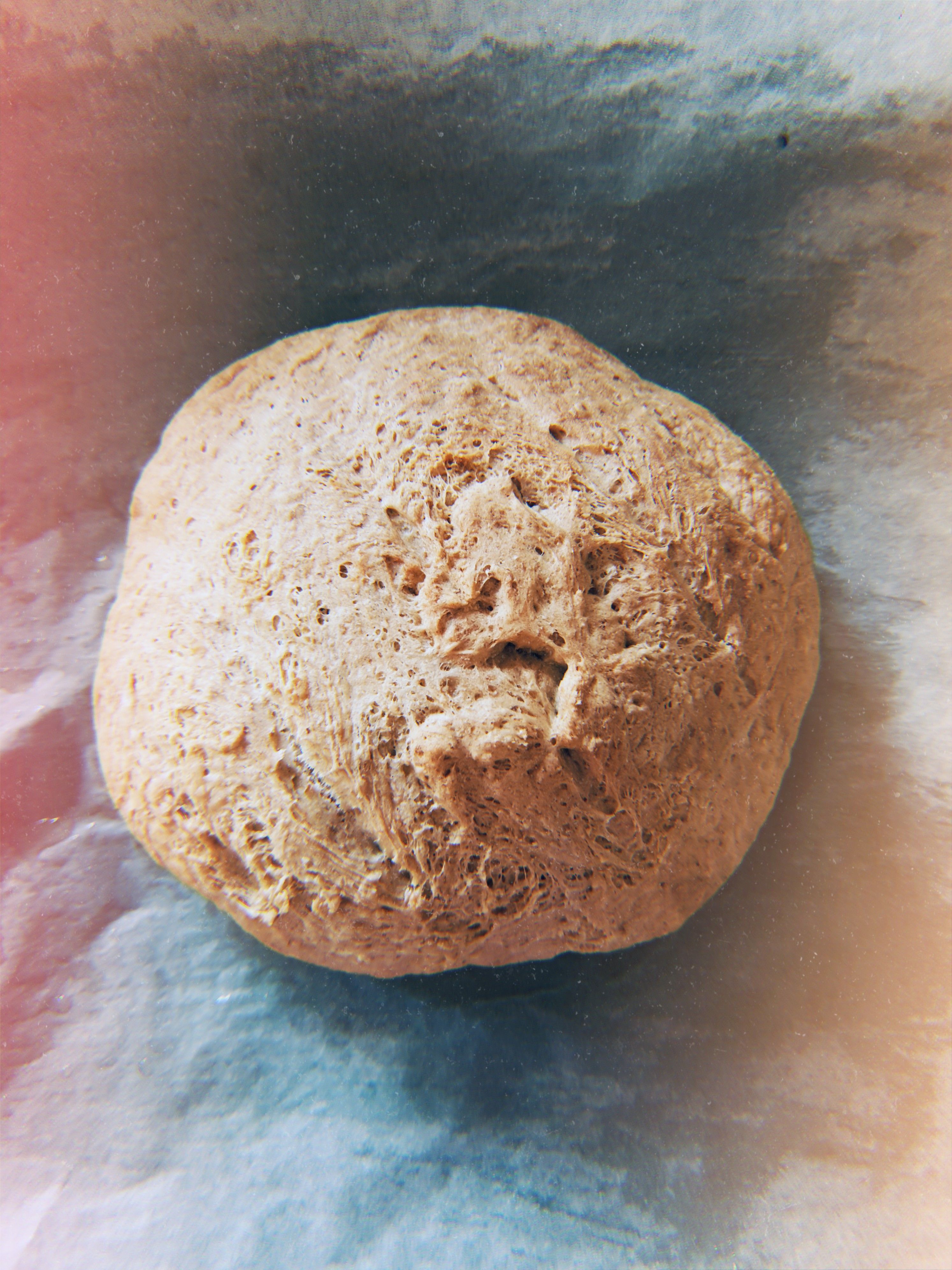 Brown Bread Dough In Close-up View · Free Stock Photo