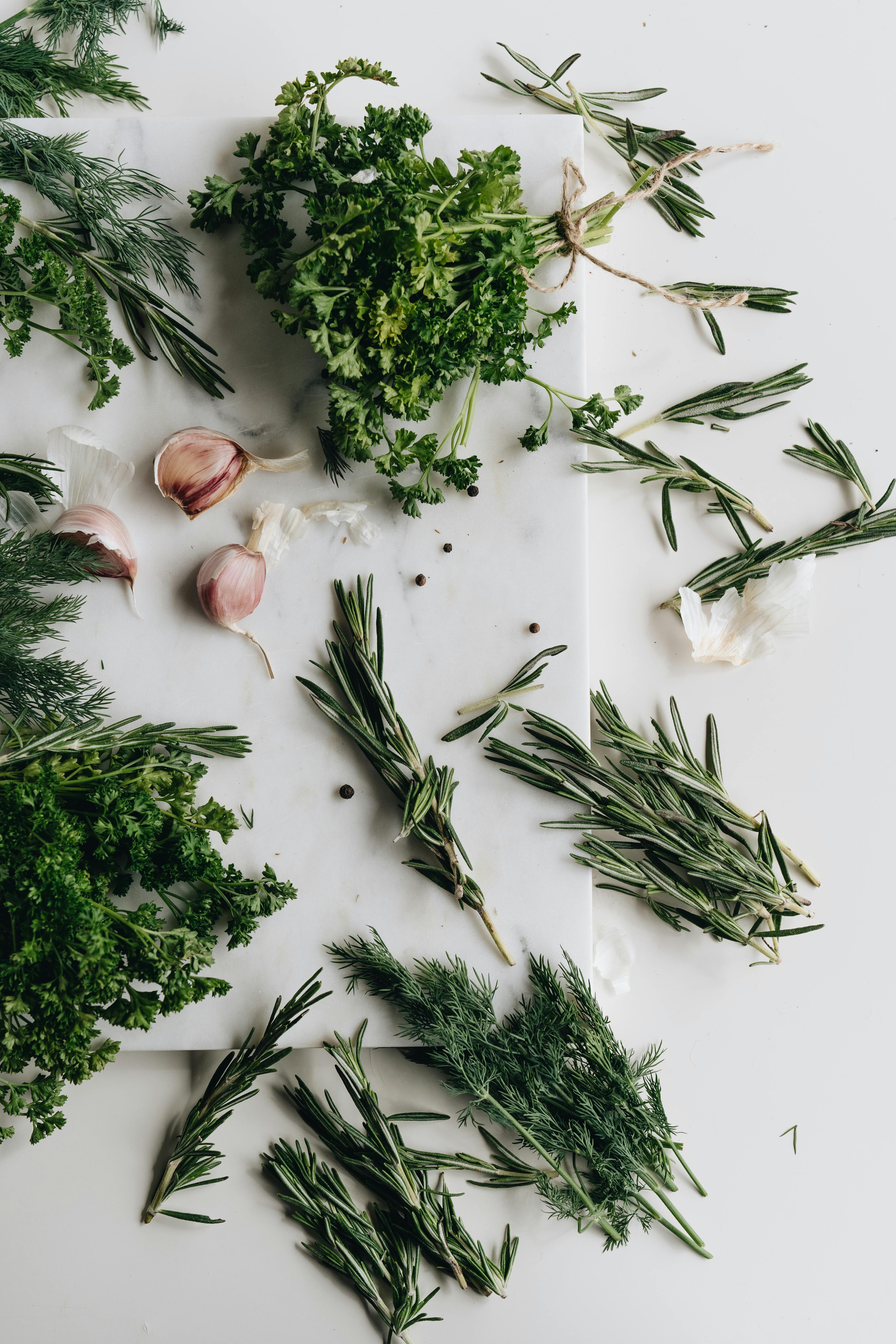 Photo Of Different Herbs · Free Stock Photo