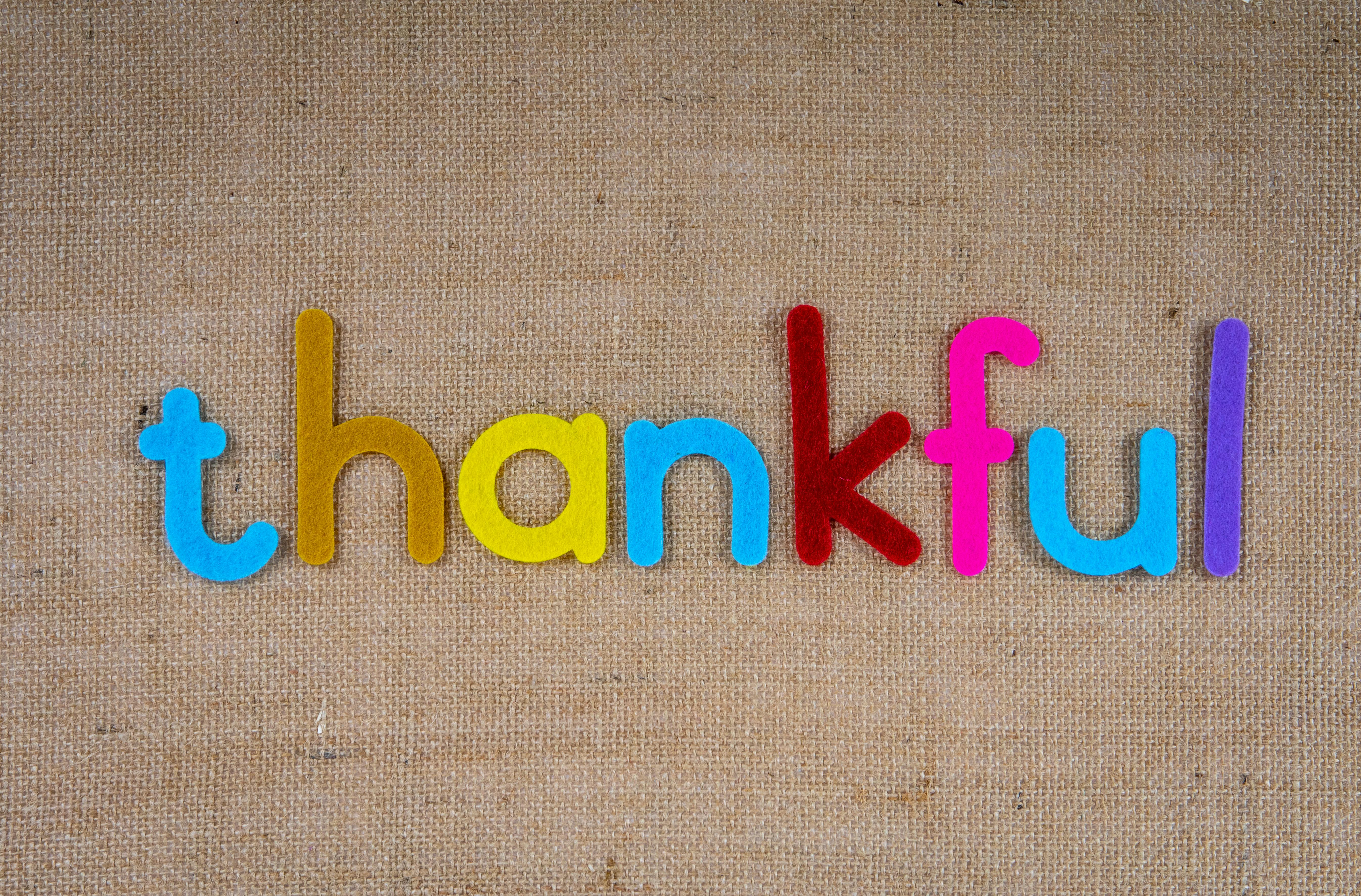 Thank You Led Signage · Free Stock Photo